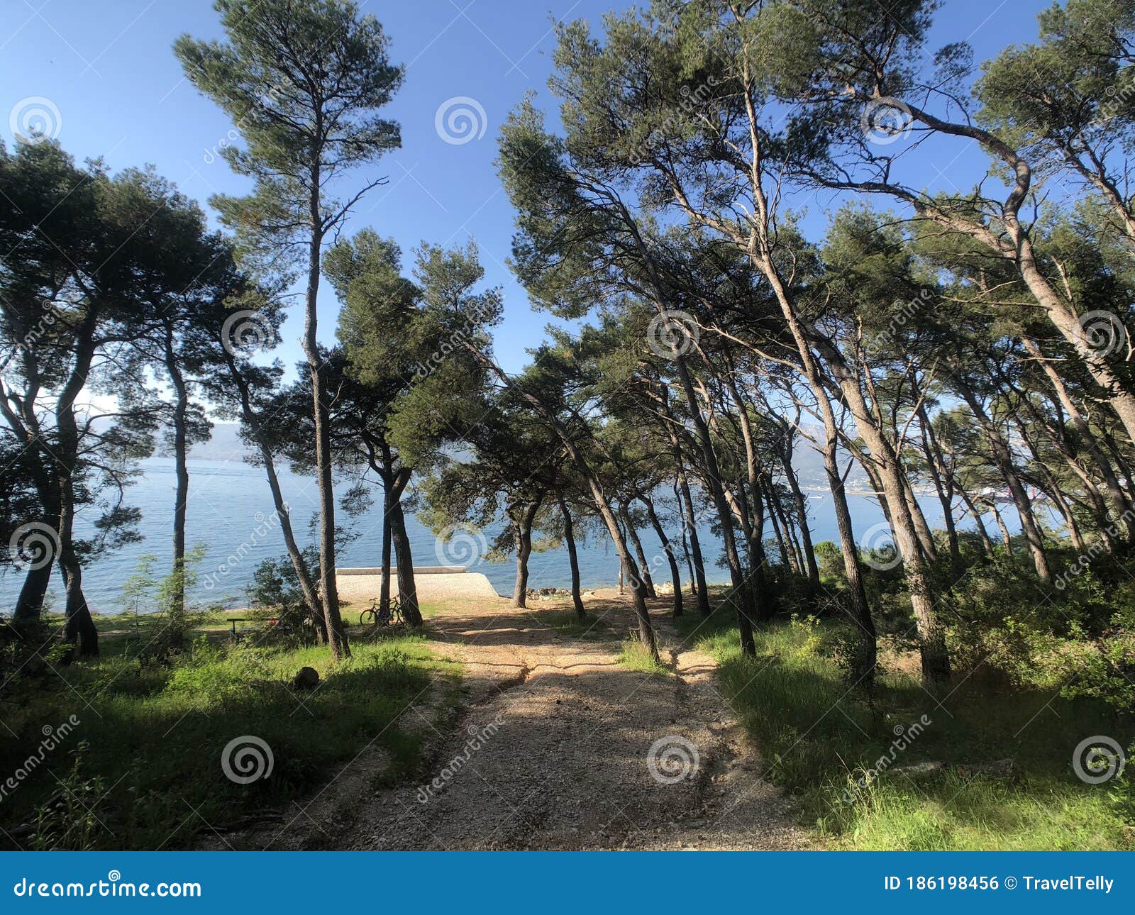 Marjan Forest Park in Split Stock Photo - Image of europe, tree: 186198456