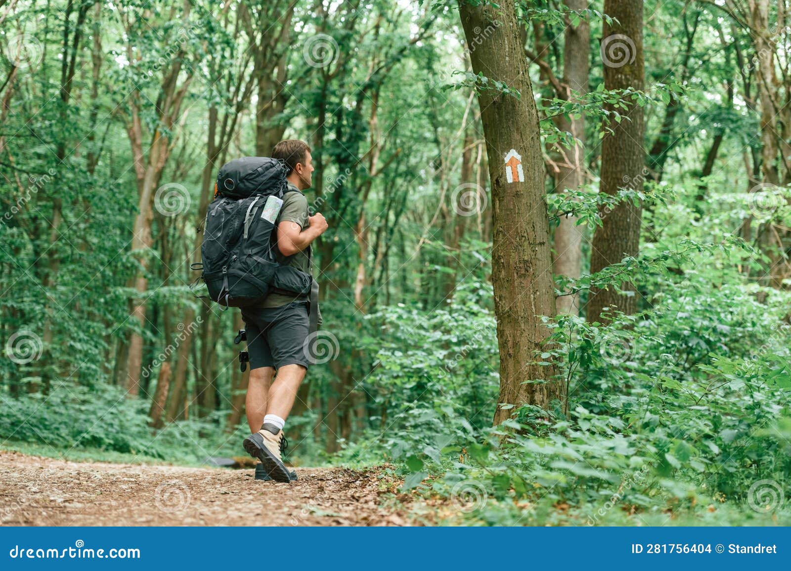 Tourist in Summer Forest. Conception of Exploration and Leisure Stock ...