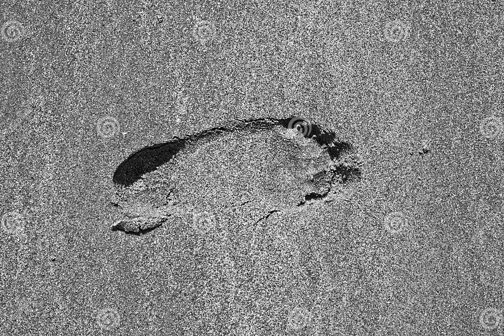 Mark of feet at the beach stock photo. Image of impression - 58322984