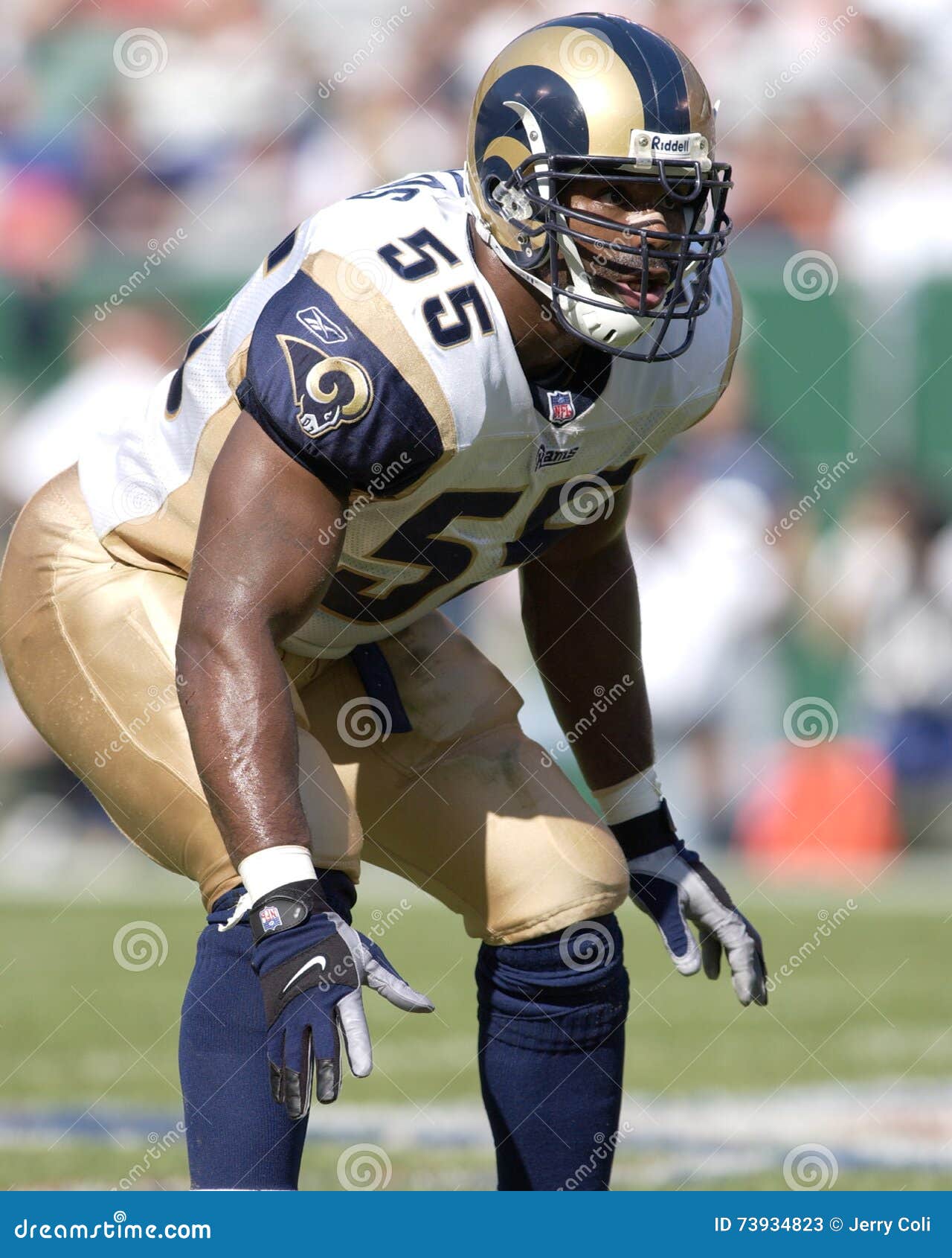 Mark Fields editorial stock photo. Image of rams, fields - 73934823