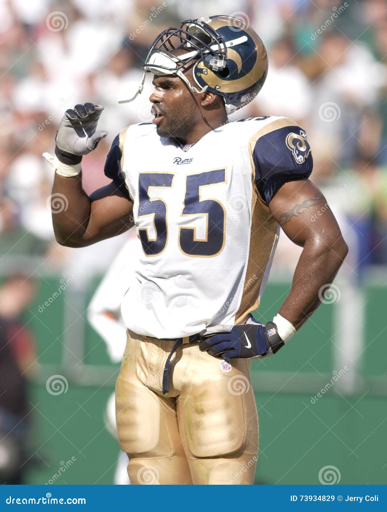 Mark Fields editorial stock image. Image of louis, mark - 73934829