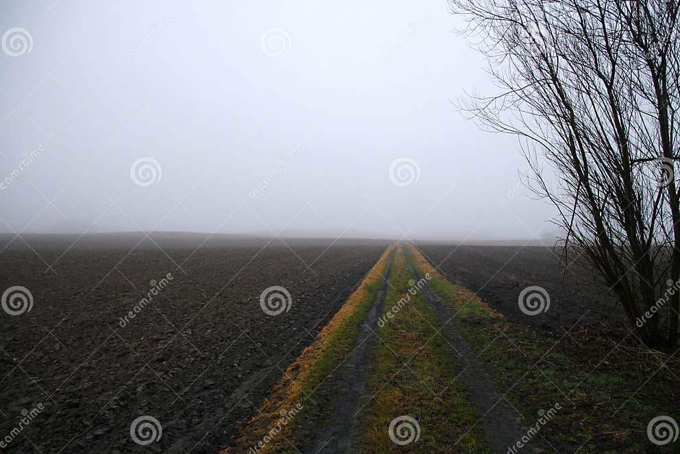 Mark path in winter fog stock image. Image of green, path - 84599301