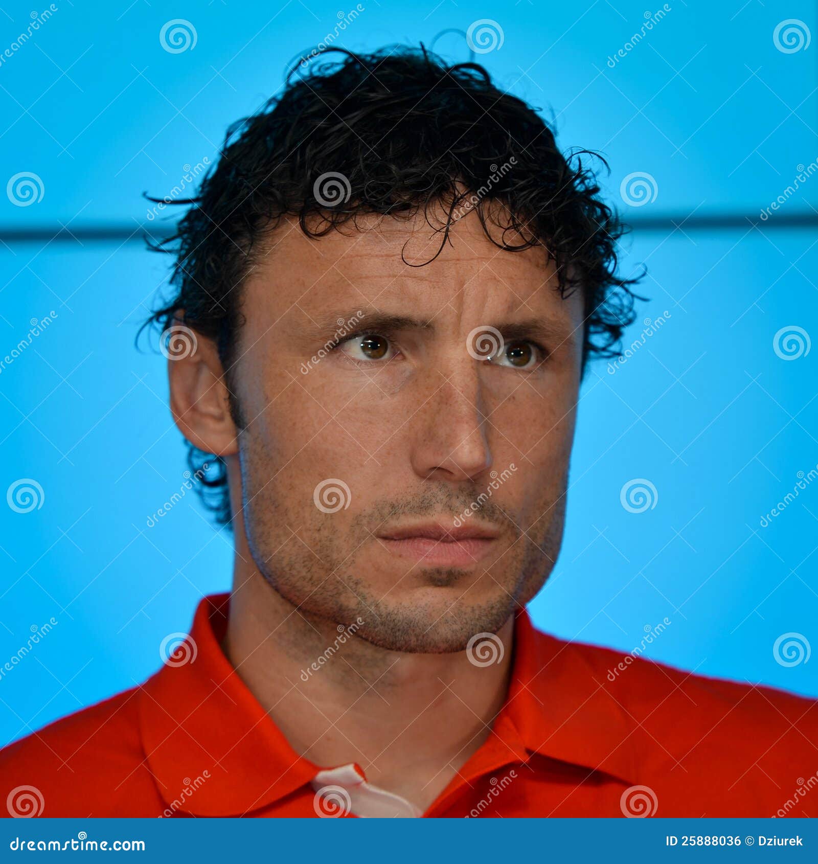 Mark van Bommel photo éditorial. Image du repère, poli - 25888036