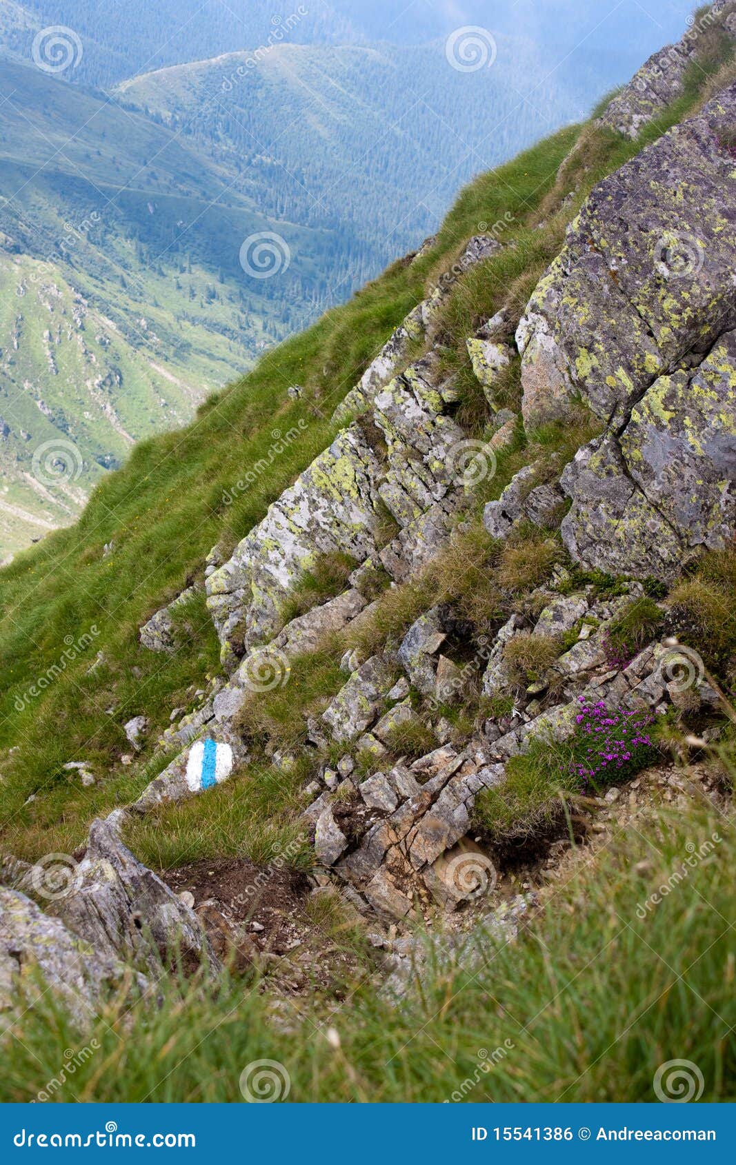 Marked Mountain Path stock photo. Image of mountain, romania - 15541386