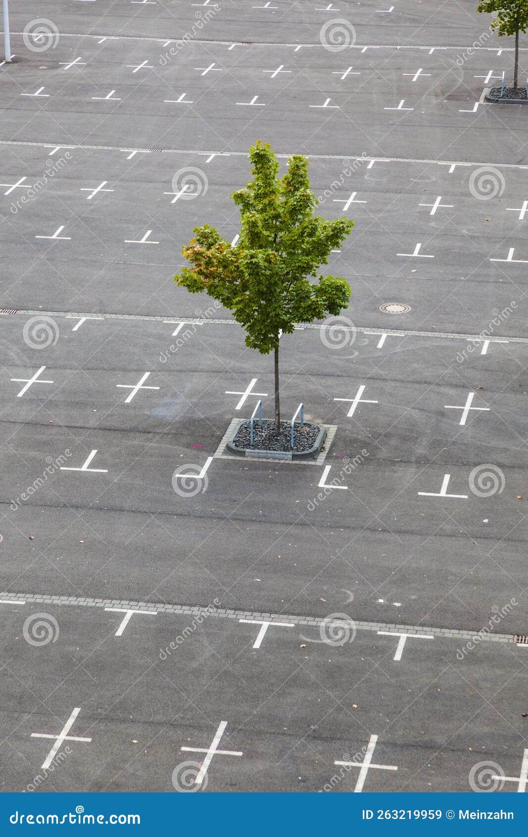 Marked Parking Lot without Cars Stock Image - Image of transportation ...