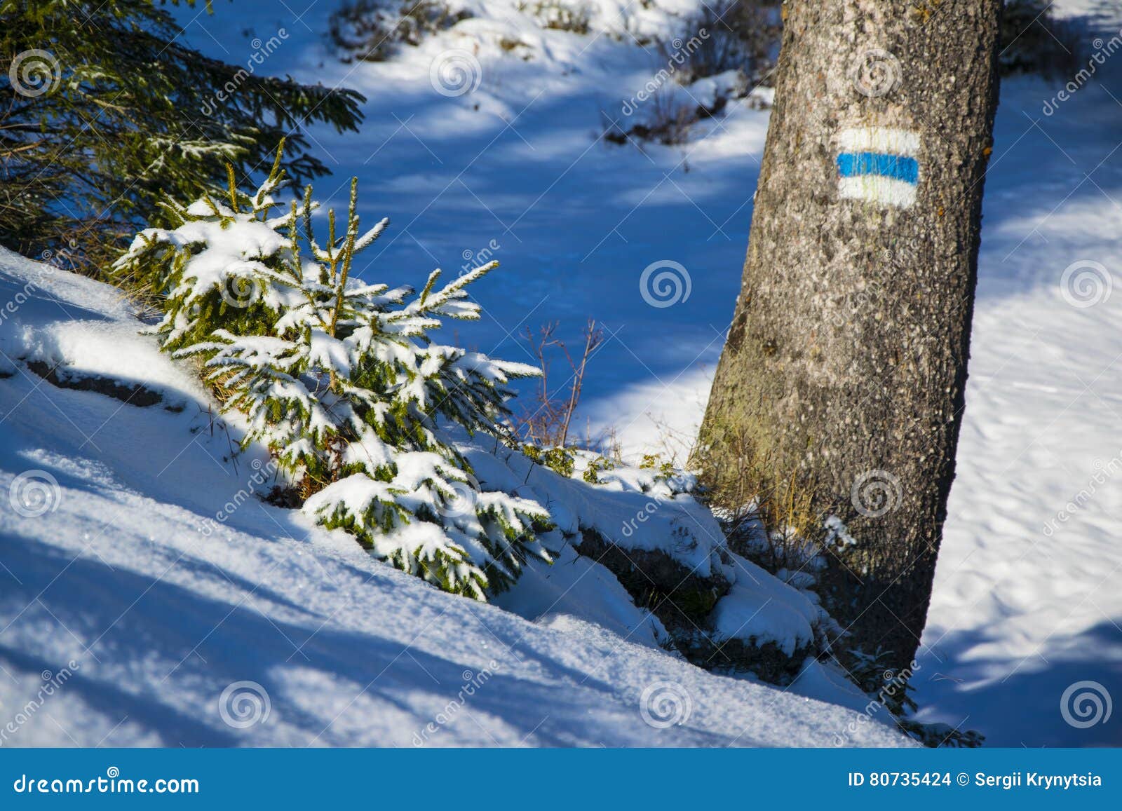 Marked Path in the Winter Mountains Stock Photo - Image of path, mark ...