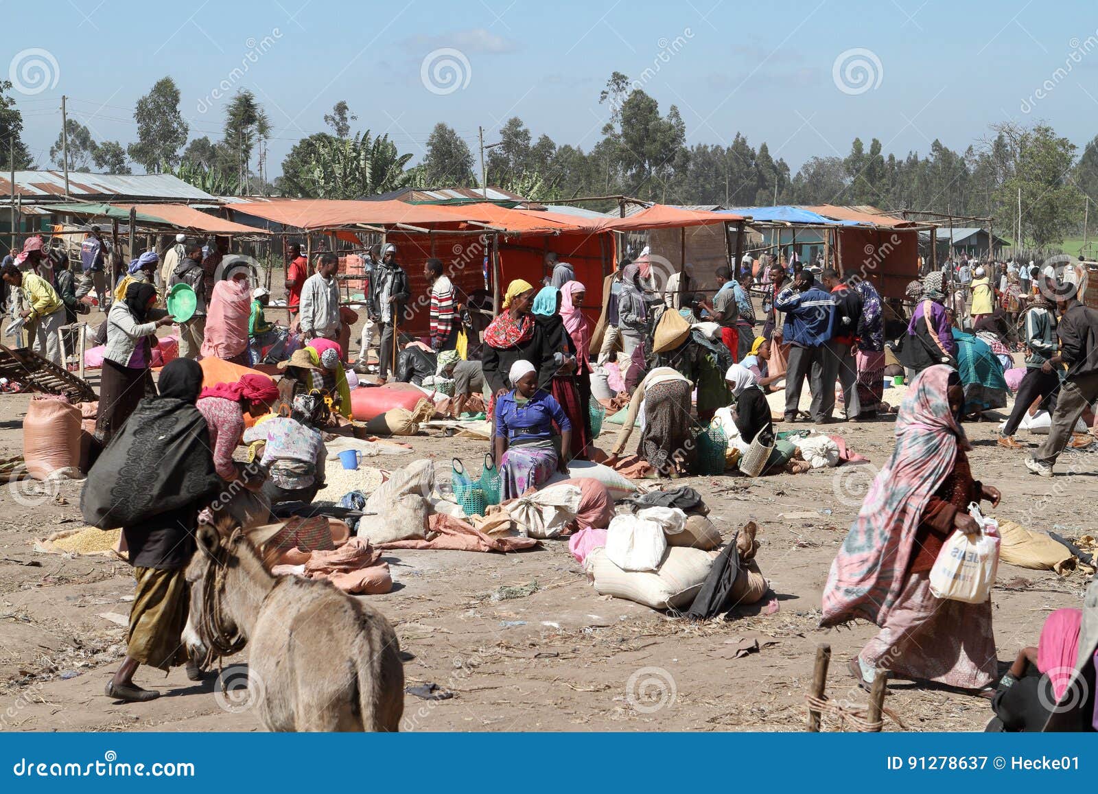 Market Day at Awassa in Ethiopia Editorial Photography - Image of ...