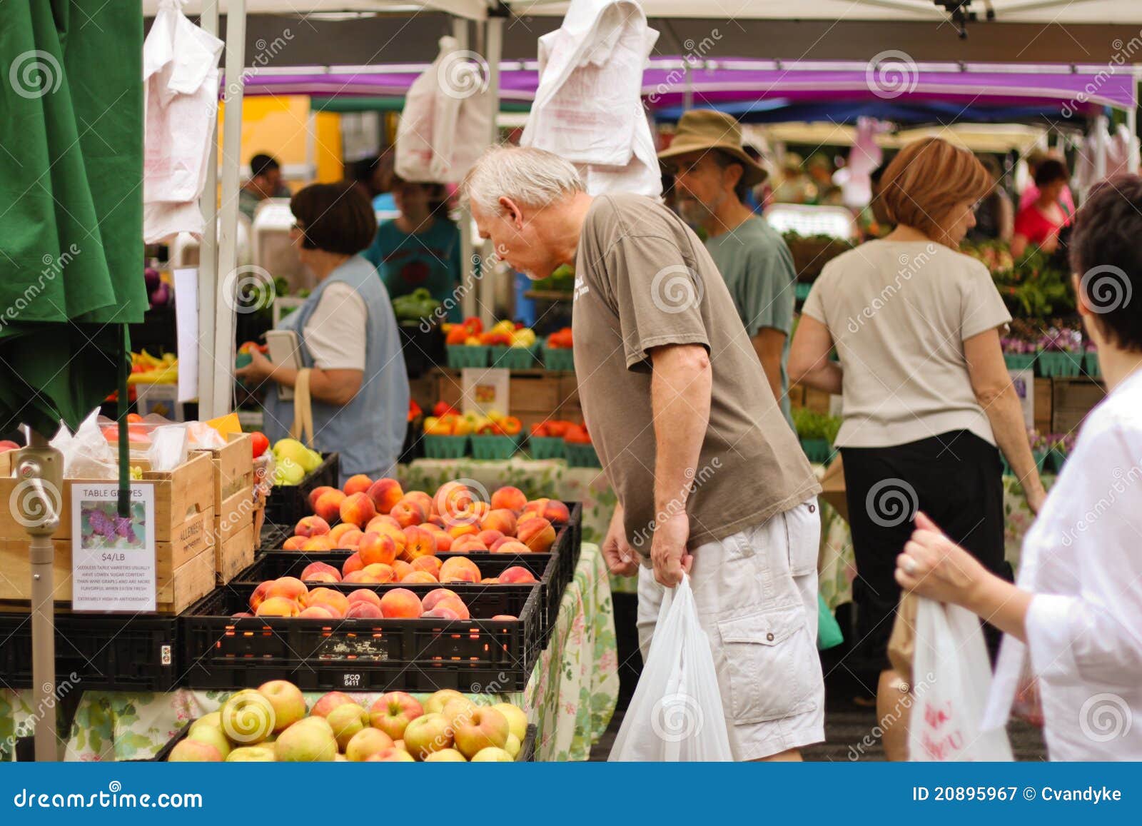 Market Day Fresh Fruit Reston Virginia Editorial Photography - Image of ...