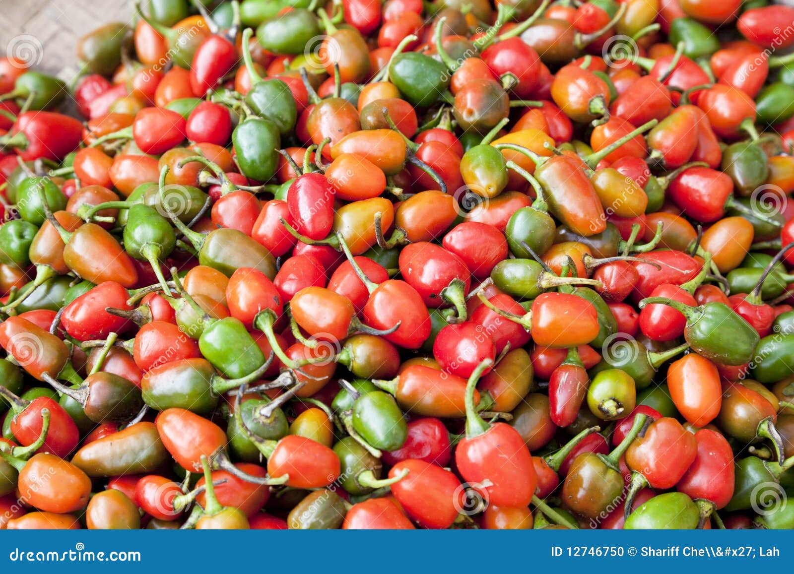 Market Fresh Small Capsicums, Nepal Stock Photo - Image of capsicums ...