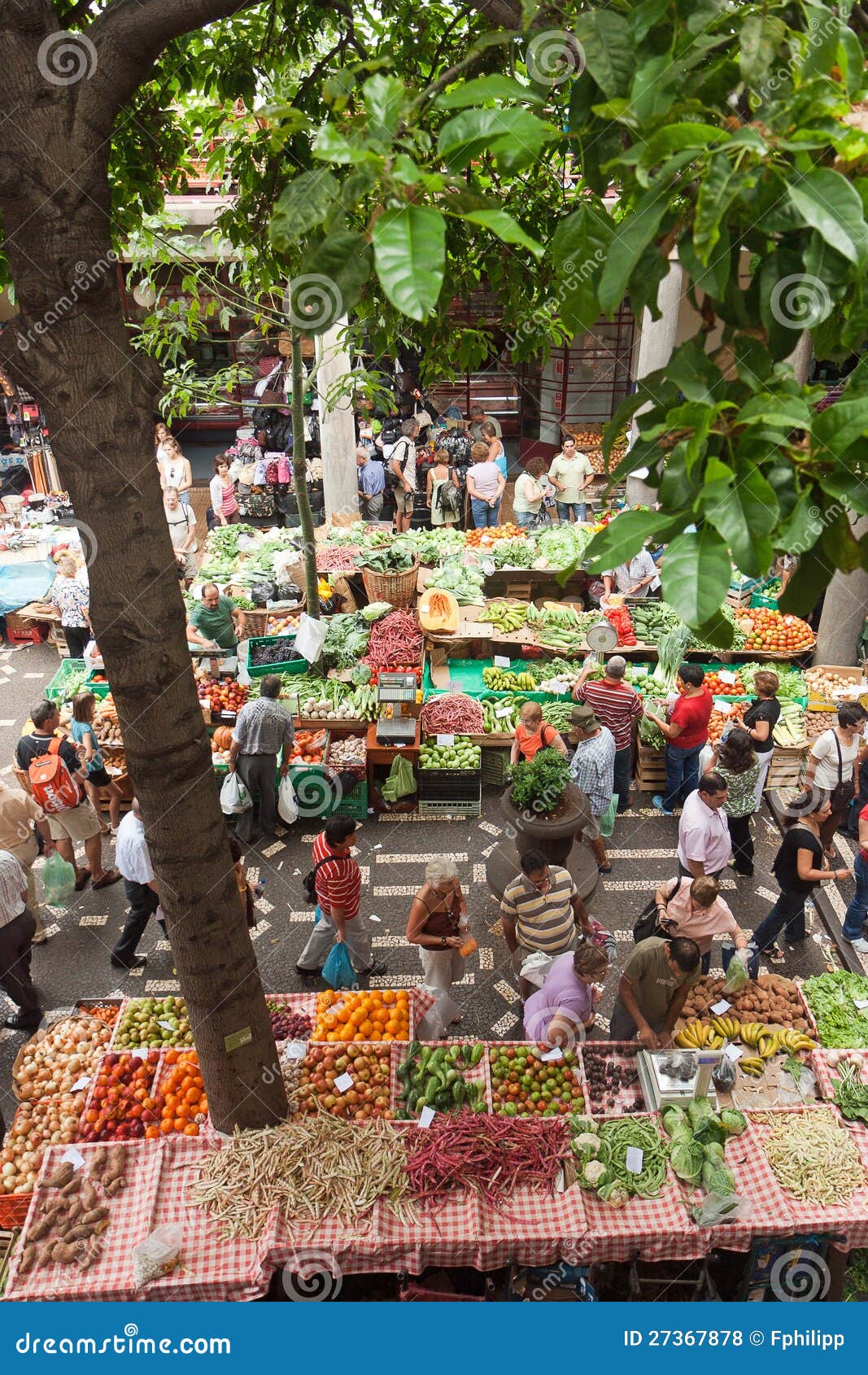 Market in Funchal, Madeira editorial stock photo. Image of banana ...