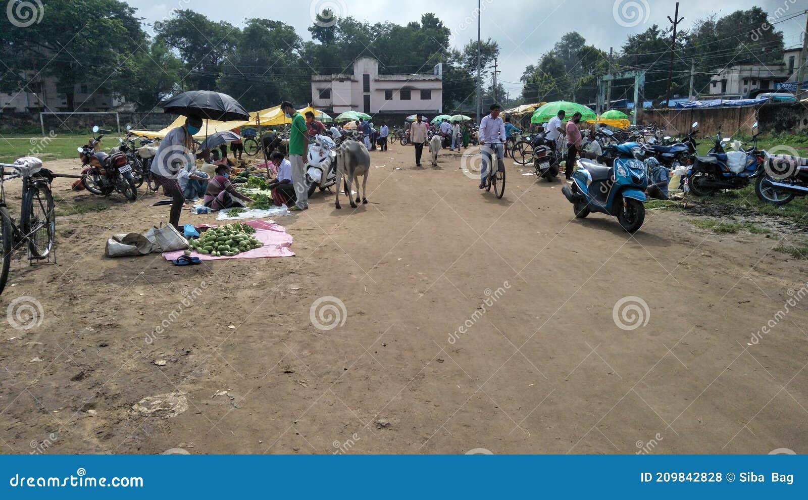 A daily Market in Kalahandi District from Odisha State Editorial Stock ...