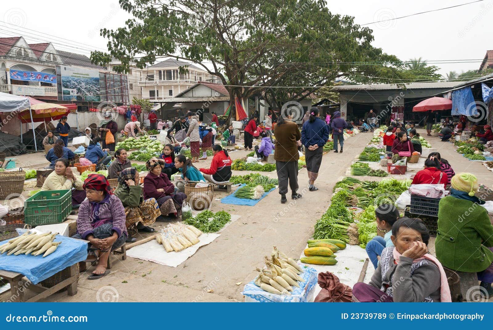 Daily market in Laos editorial stock image. Image of busy - 23739789