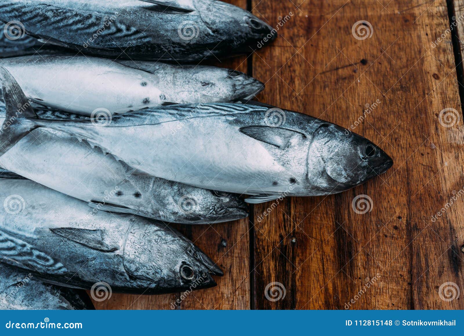 The market for marine fish stock photo. Image of closeup - 112815148