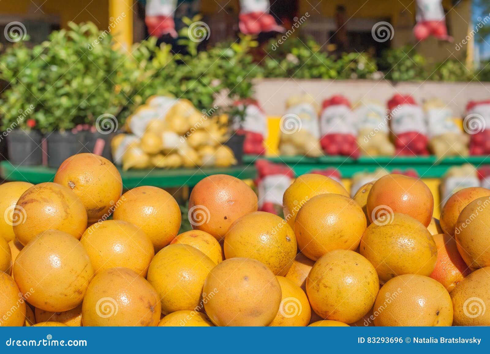 Market stall with oranges stock photo. Image of close - 83293696
