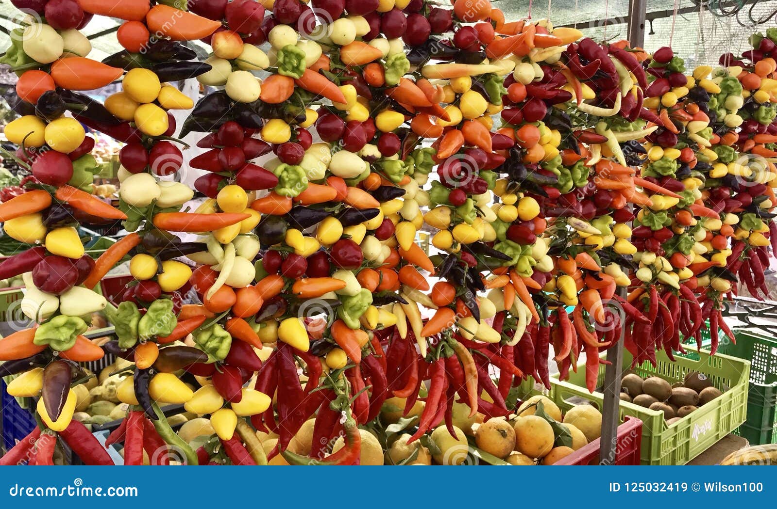 Strings of chilli peppers stock image. Image of spicy - 125032419