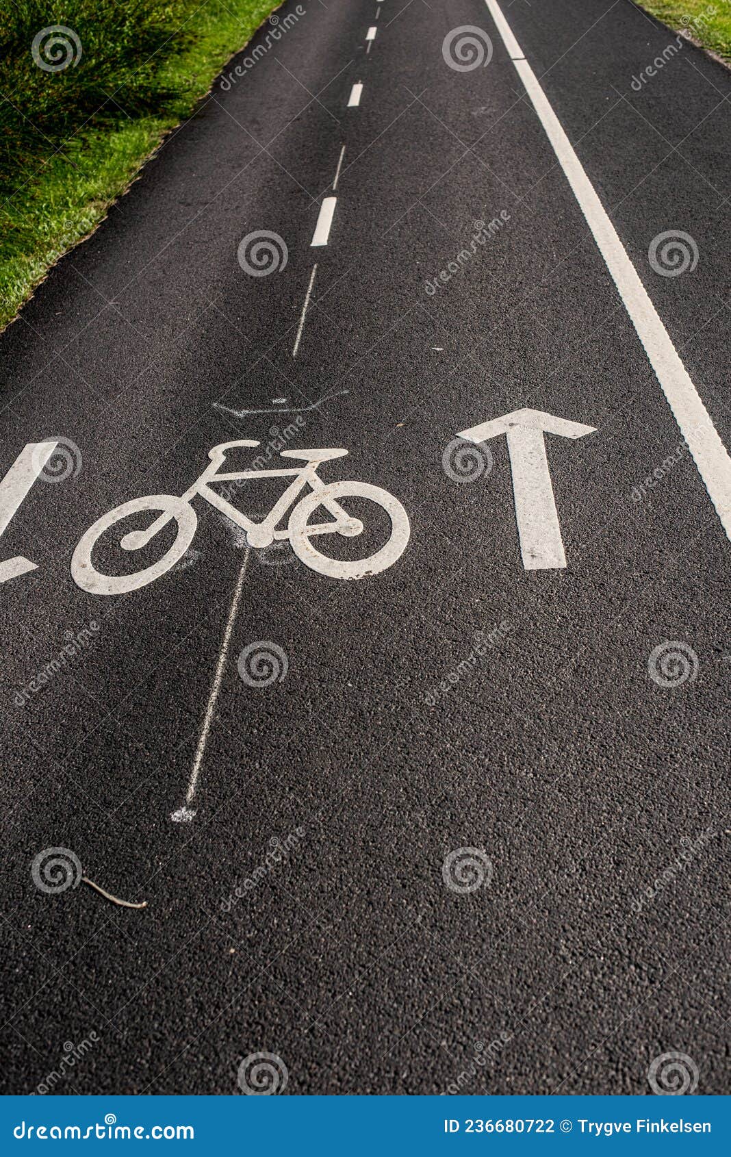 Marking Arrows of a Bike Path.. Stock Photo - Image of track, active ...