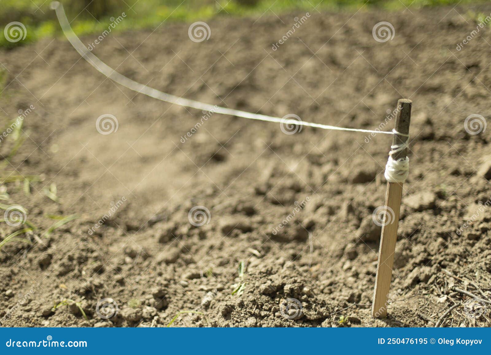 Marking of Land Plot. Thread is Stretched Above Ground Stock Image ...