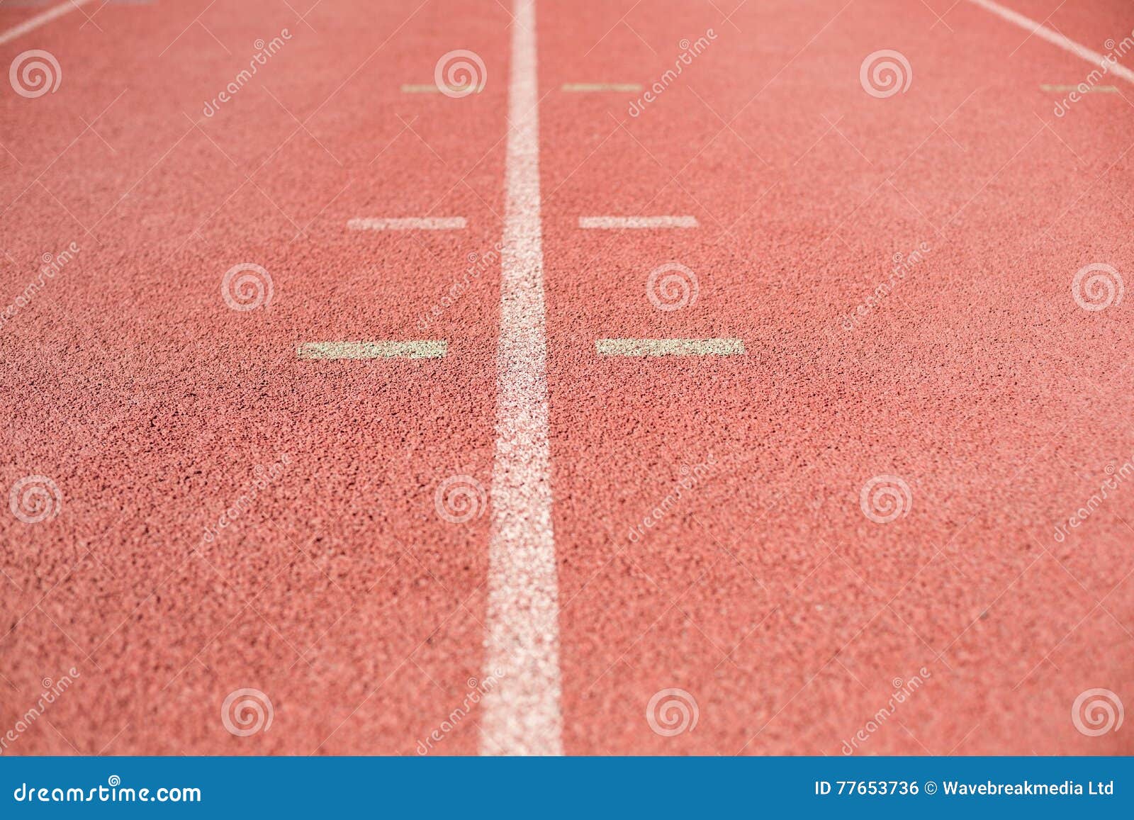 Marking Line on Running Track Stock Photo - Image of olympics, stadium ...