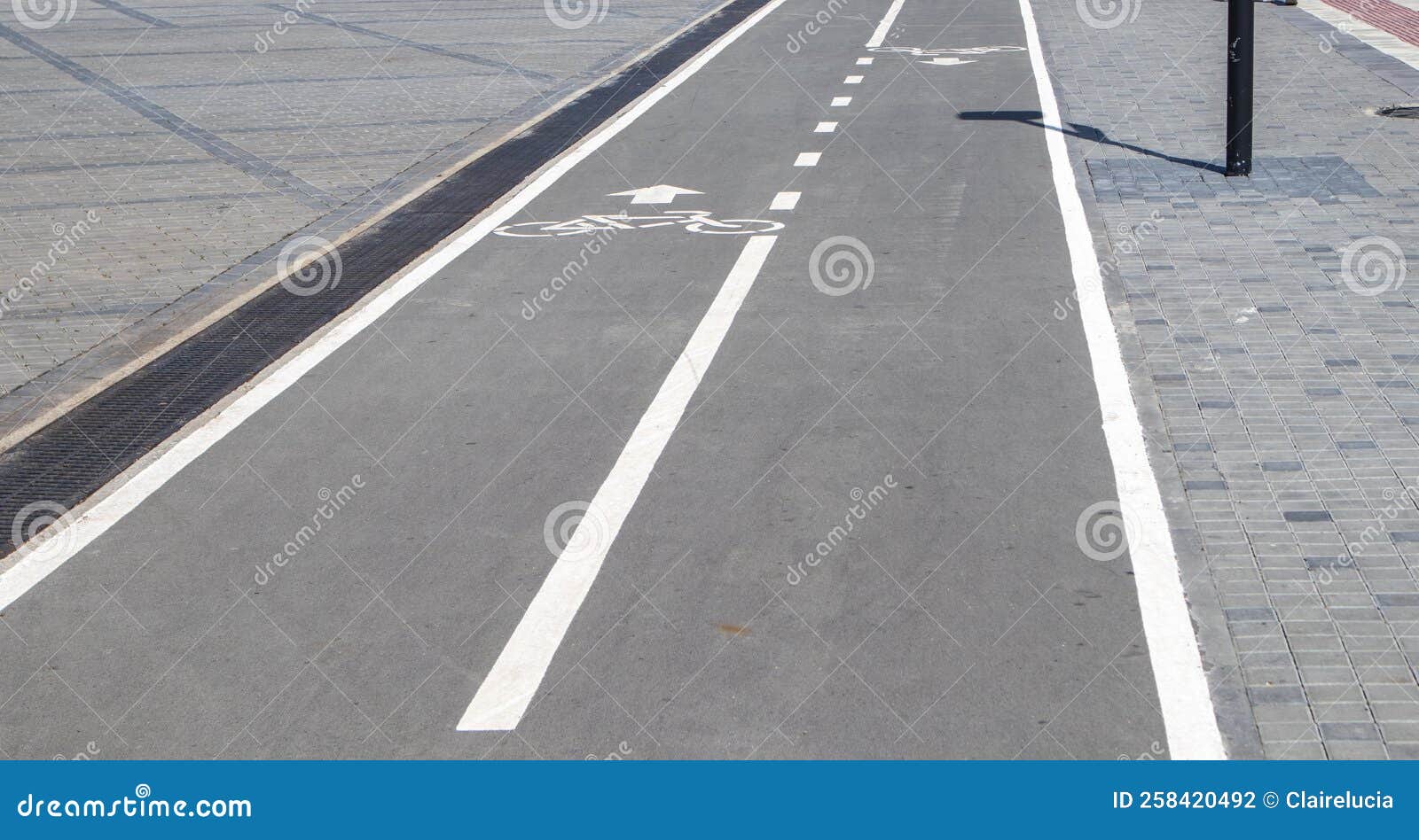 Marking of the Traffic Lane Marking the Bike Path on the Sidewalk Stock ...