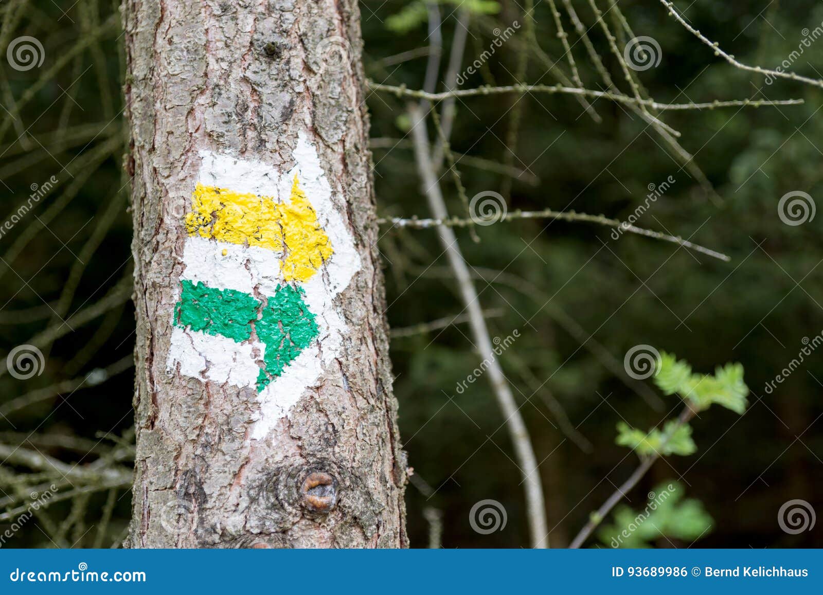 Marking the Trails with Colored Arrows Stock Photo - Image of travel ...