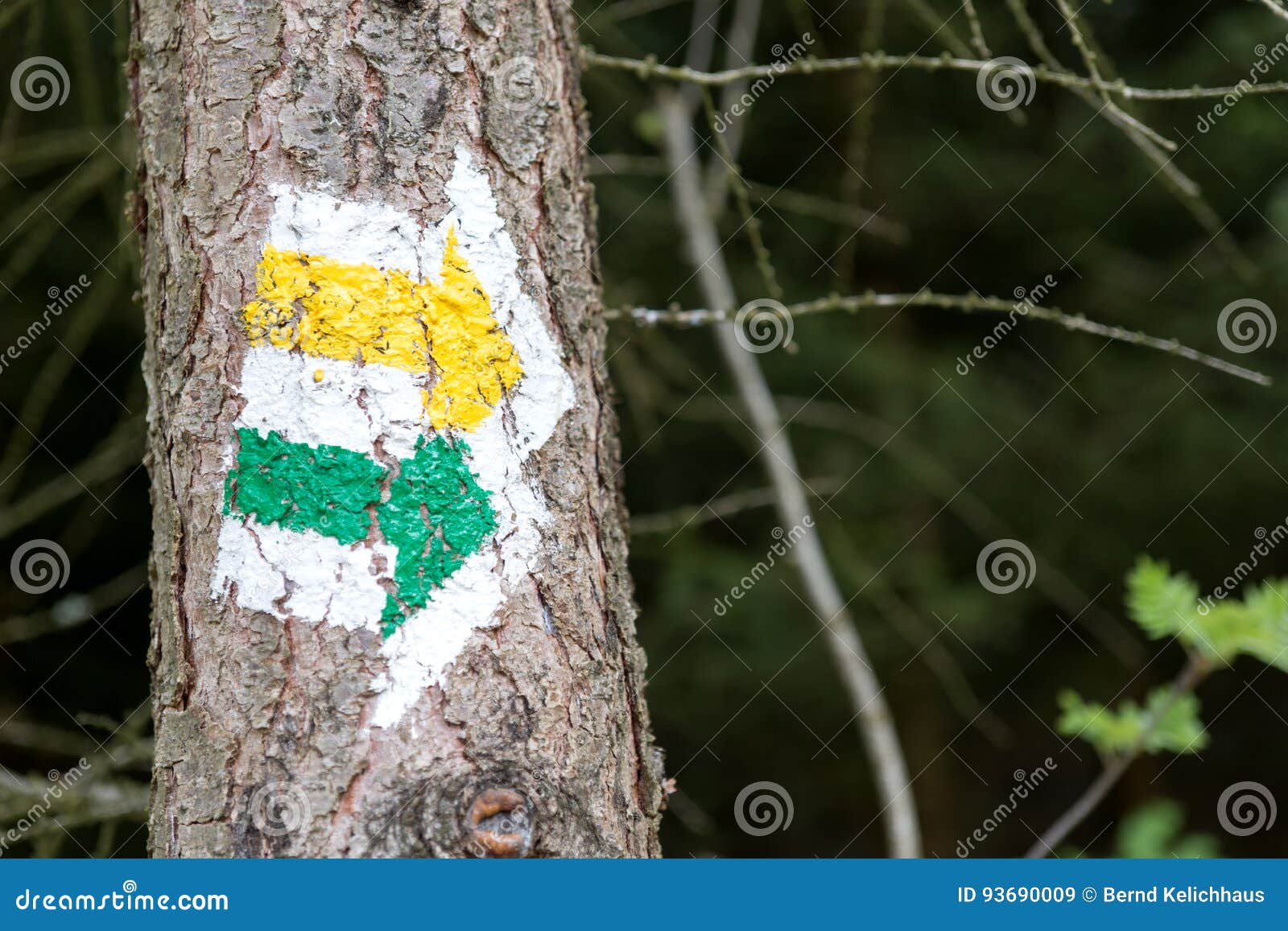 Marking the Trails with Colored Arrows Stock Image - Image of ...