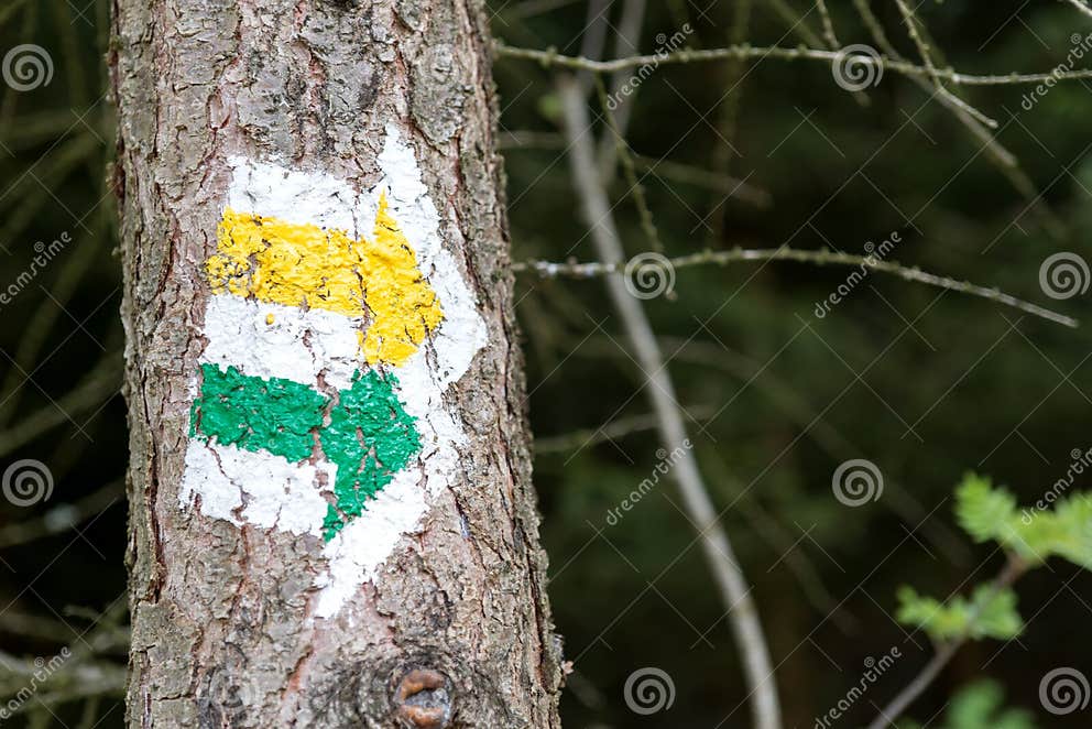 Marking the Trails with Colored Arrows Stock Image - Image of ...