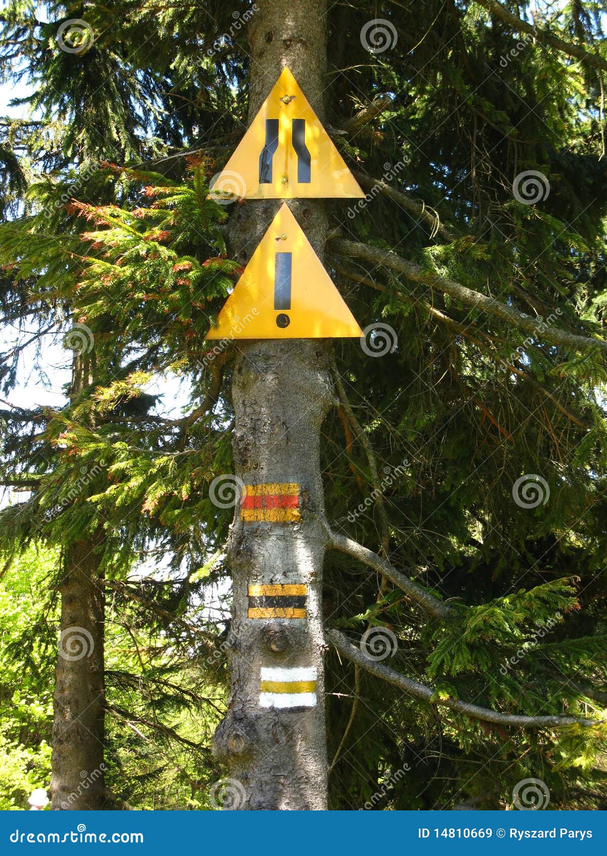 218 Trail Markings Tree Photos - Free & Royalty-Free Stock Photos from ...