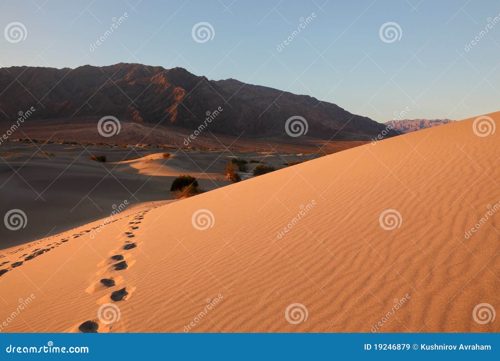 The Marks on Crumbling Sand Stock Image - Image of tourism, california ...