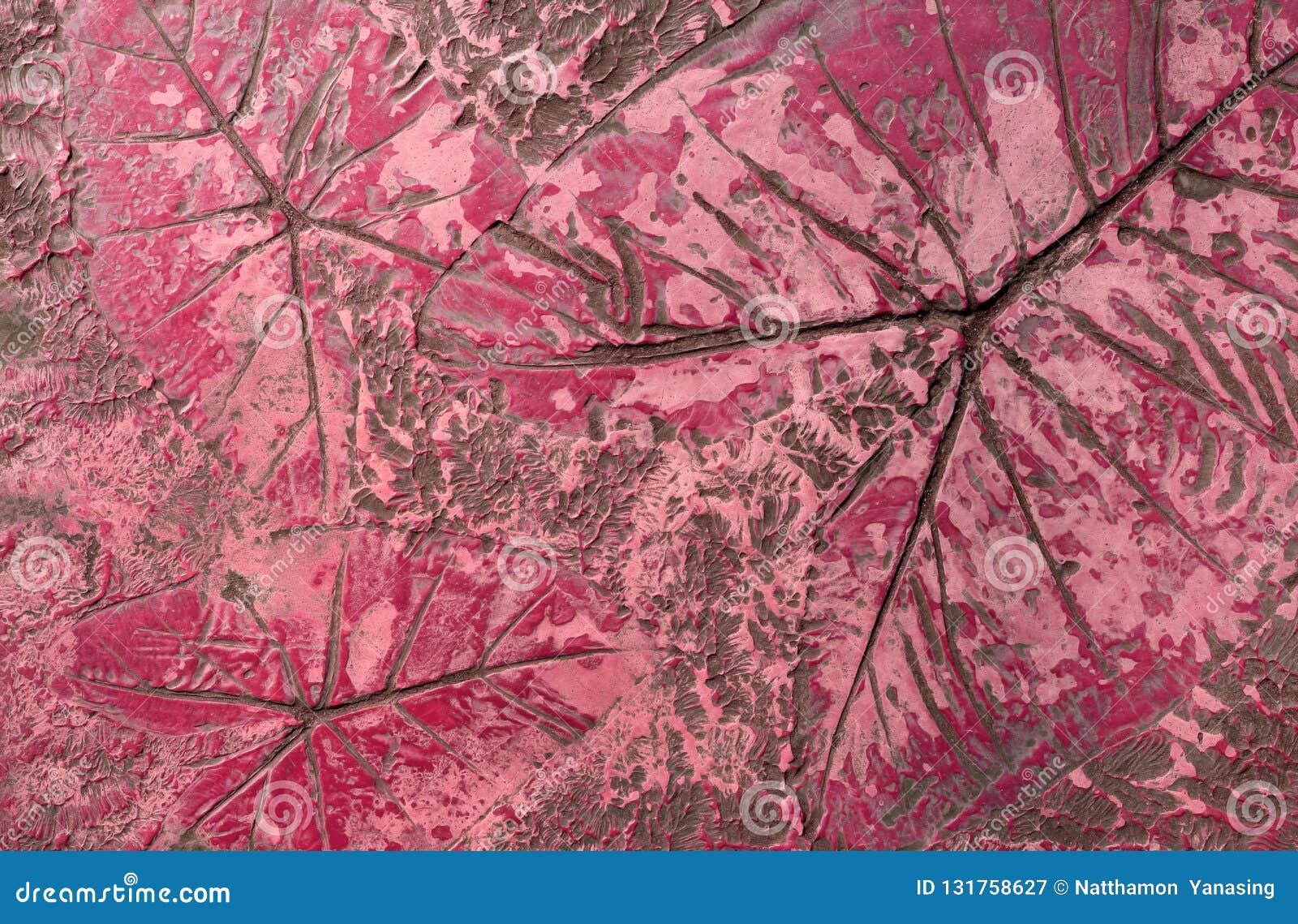 Pattern of Leaf Stamped on Pink Concrete Pavement for Decorate Walkways ...