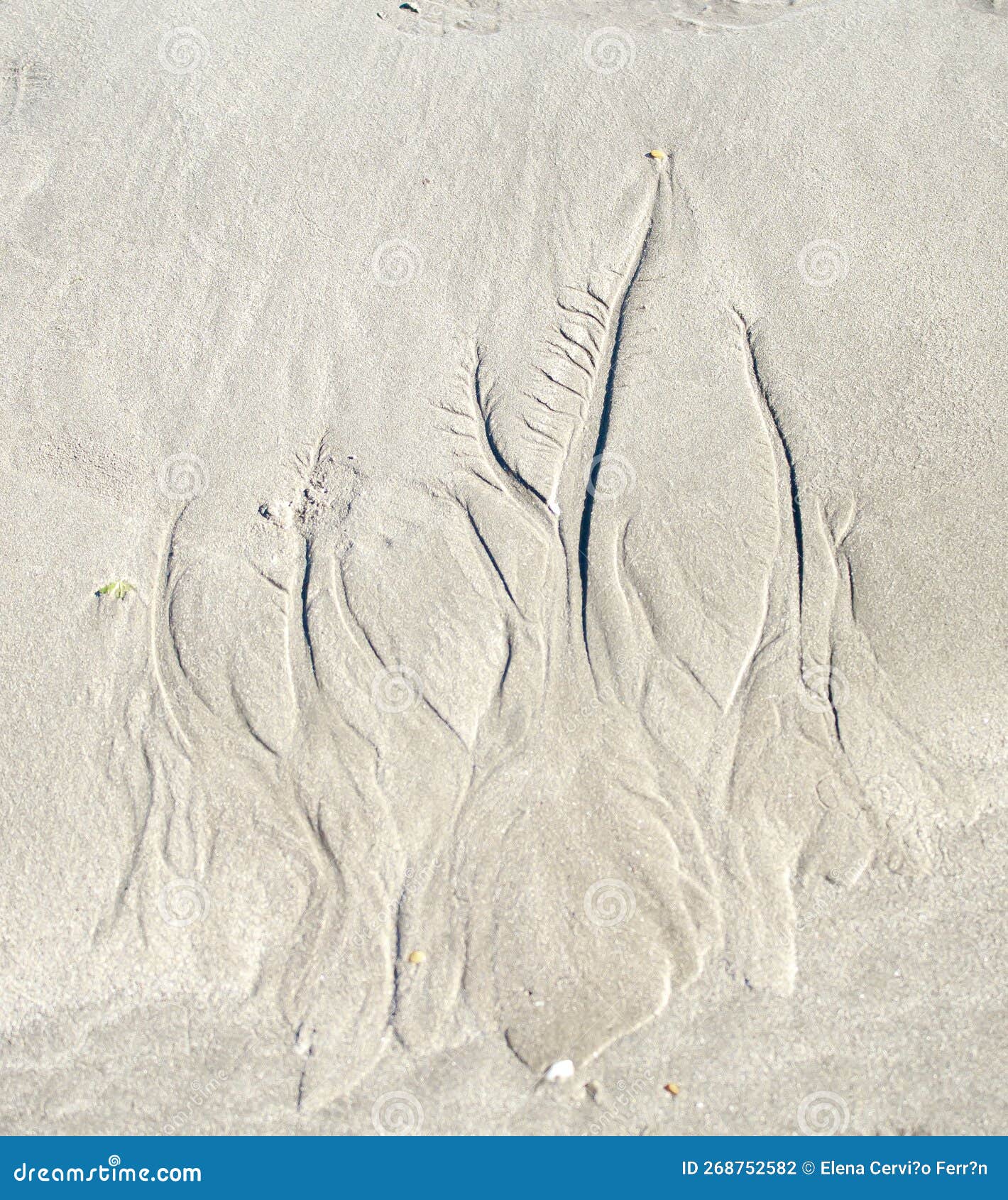 Marks in the Sand on the Beach Created by Small Currents at Low Tide ...