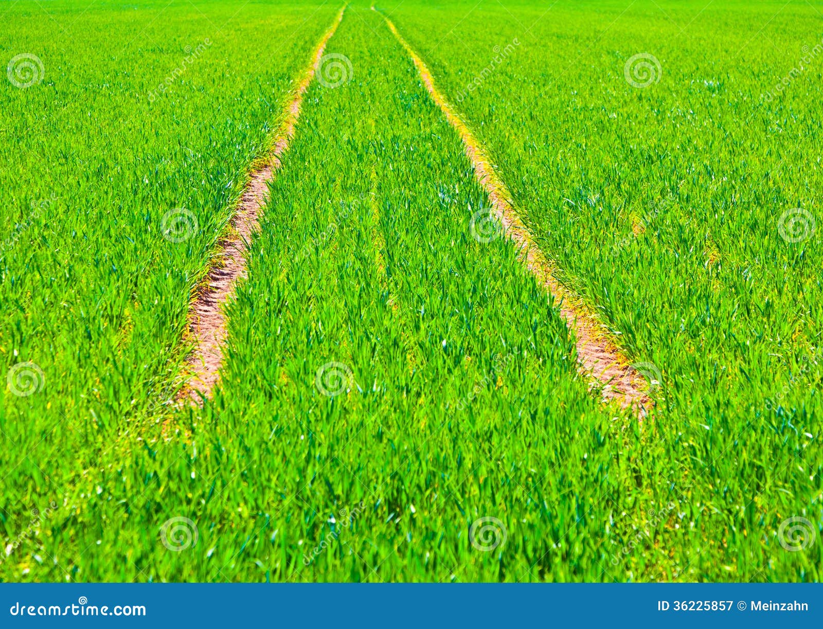 Marks of Wheels in Green Field Stock Image - Image of muddy, curves ...