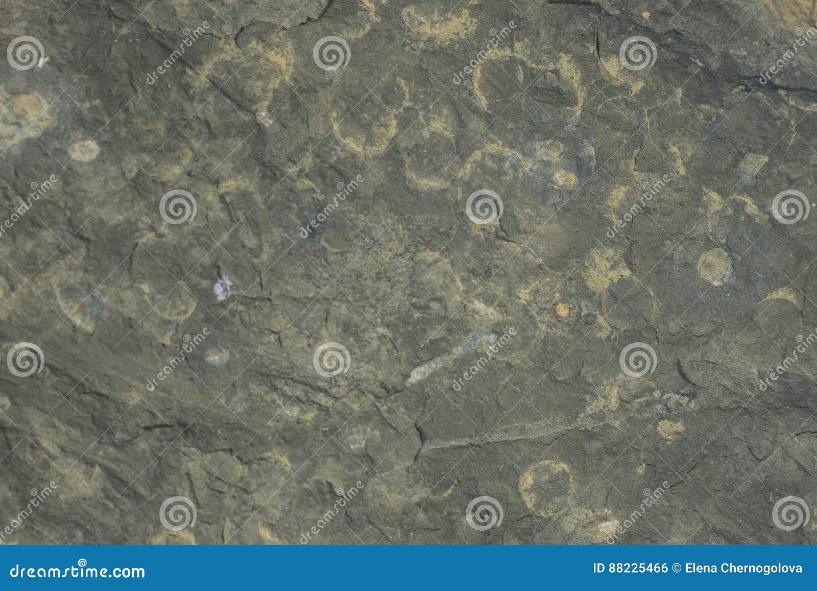 Marl. Texture. stock photo. Image of caliche, finegrained - 88225466