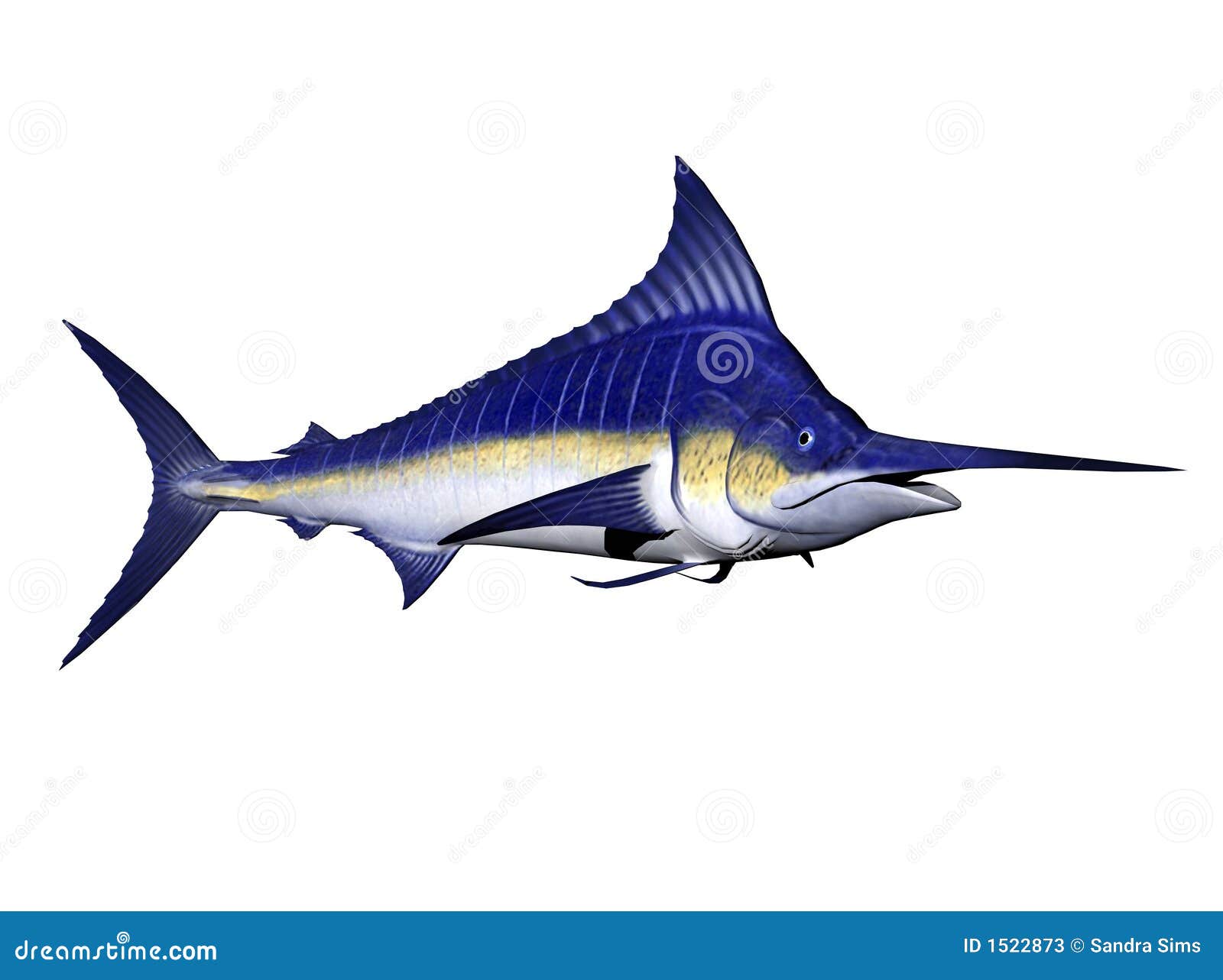 Marlin Stock Image | CartoonDealer.com #1522873