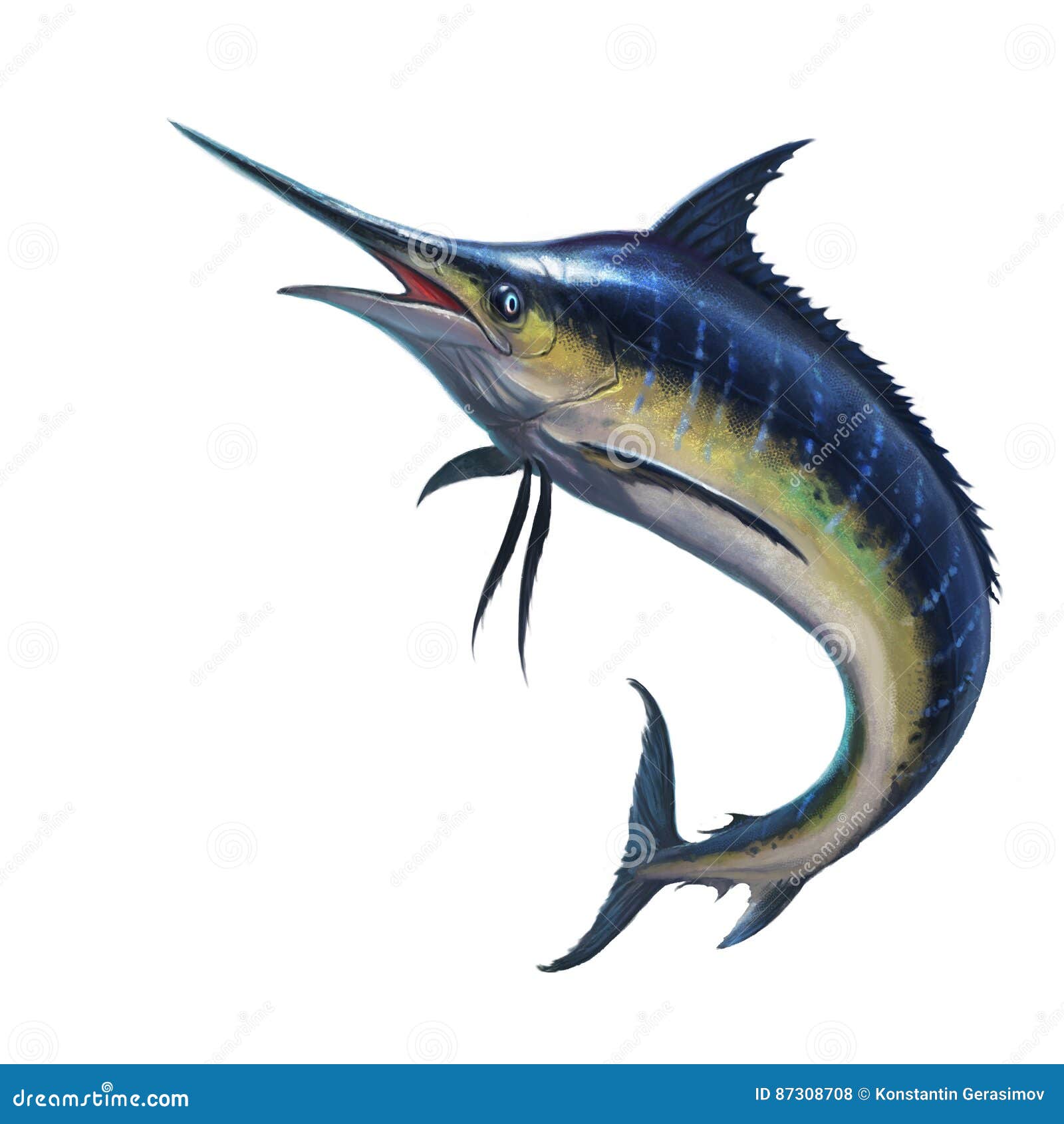 Marlin Bleu Sur Un Fond Blanc Illustration Stock - Illustration du ...
