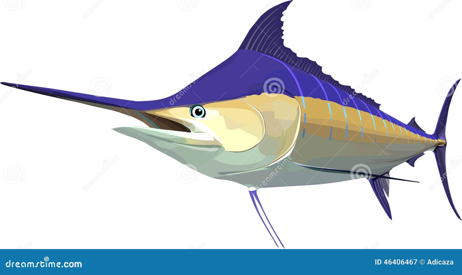 Marlin stock vector. Illustration of bluefin, ocean, killer - 46406467