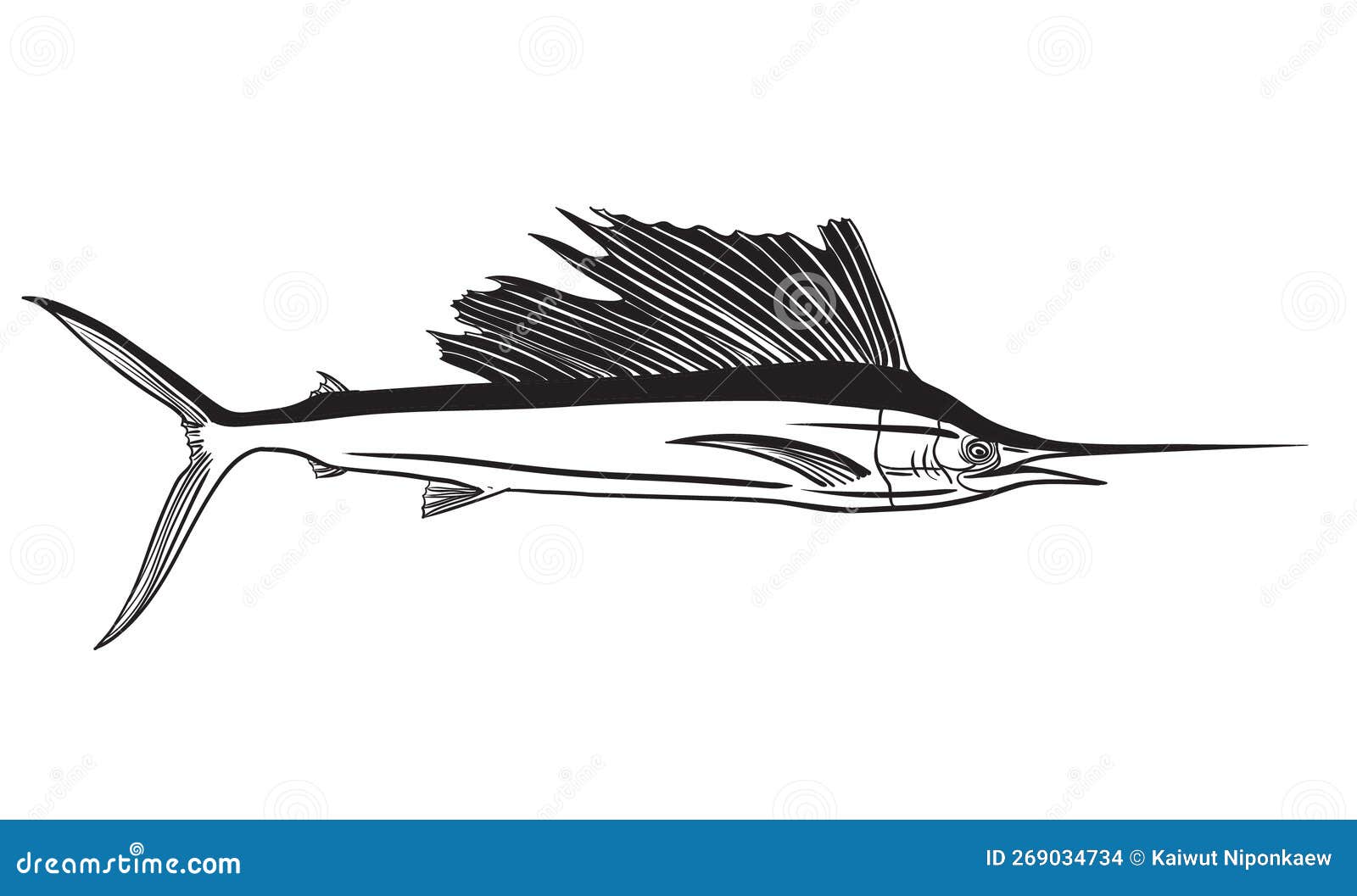Marlin fish vector stock vector. Illustration of marine - 269034734