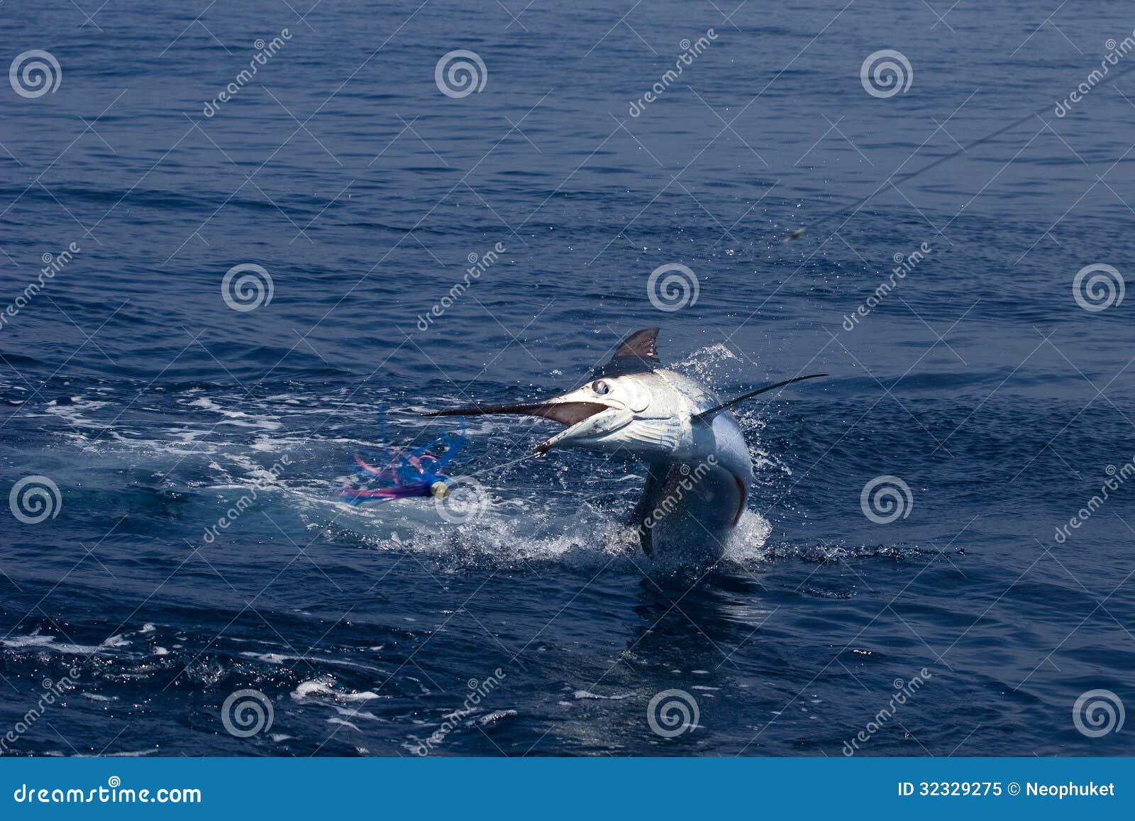 Marlin Jumping image stock. Image du ligne, marlin, poissons - 32329275