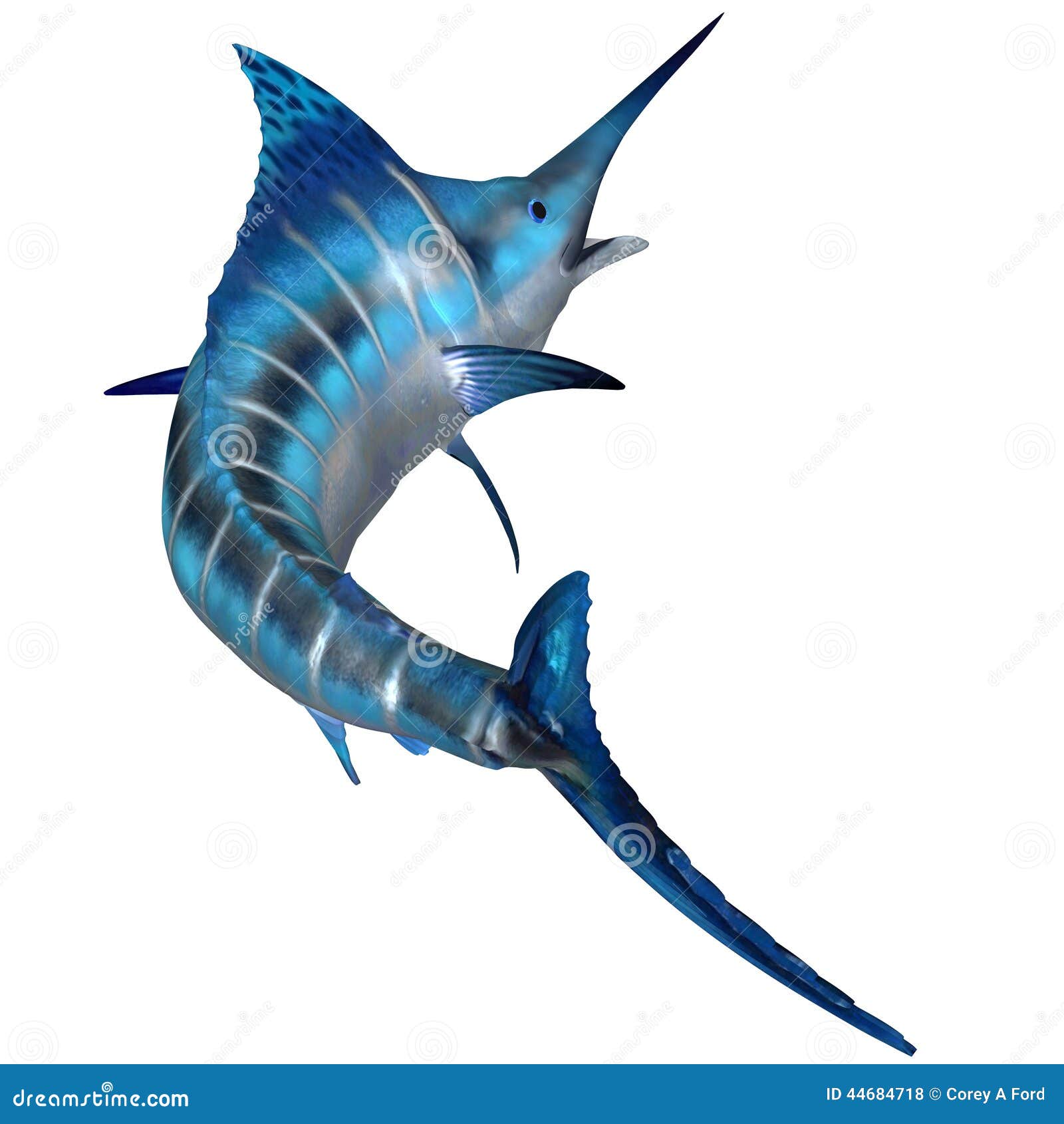 Marlin Predator azul ilustração stock. Ilustração de retrato - 44684718