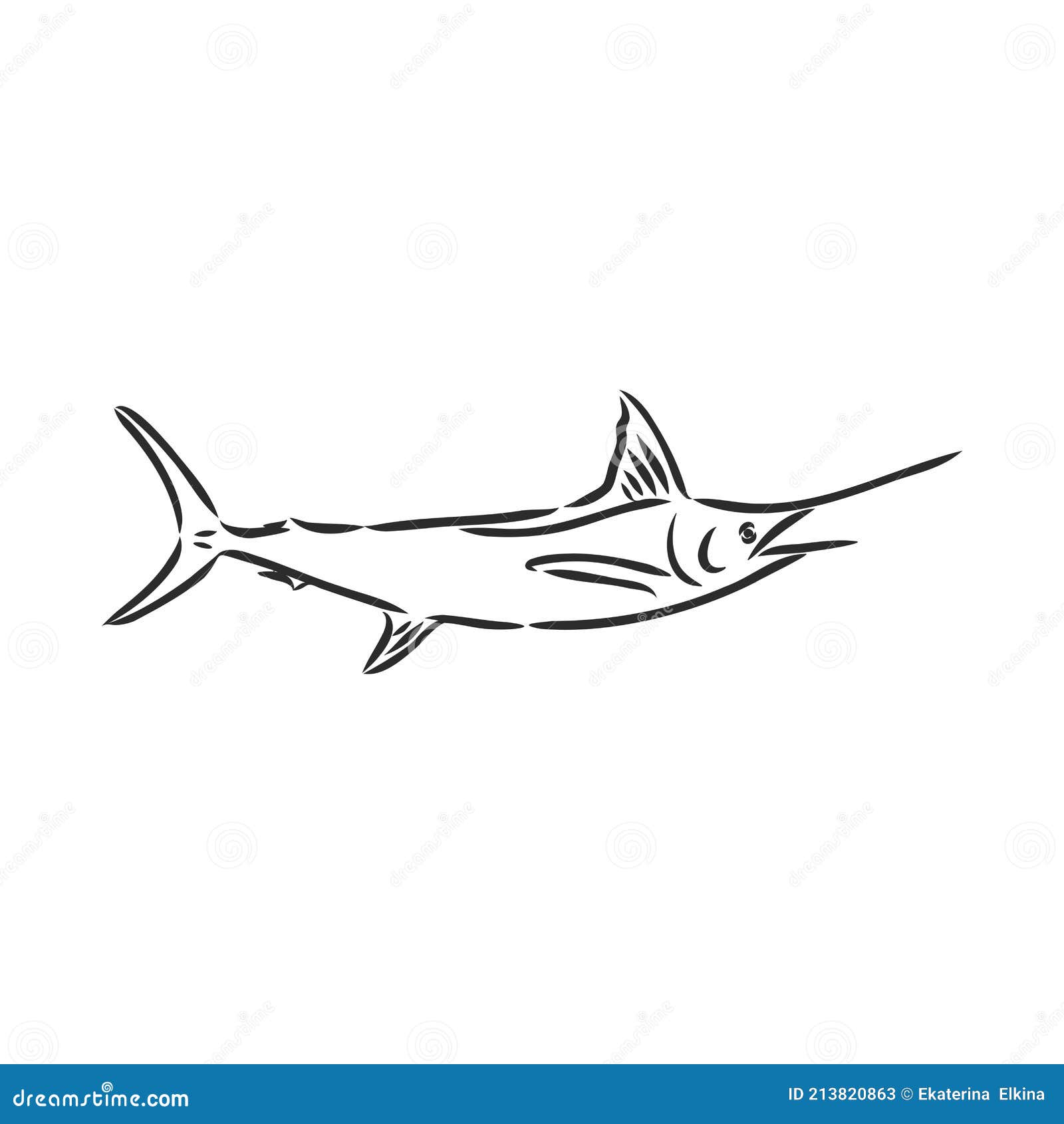 Marlin, Swordfish Zentangle Stylized, Vector, Illustration, Freehand ...