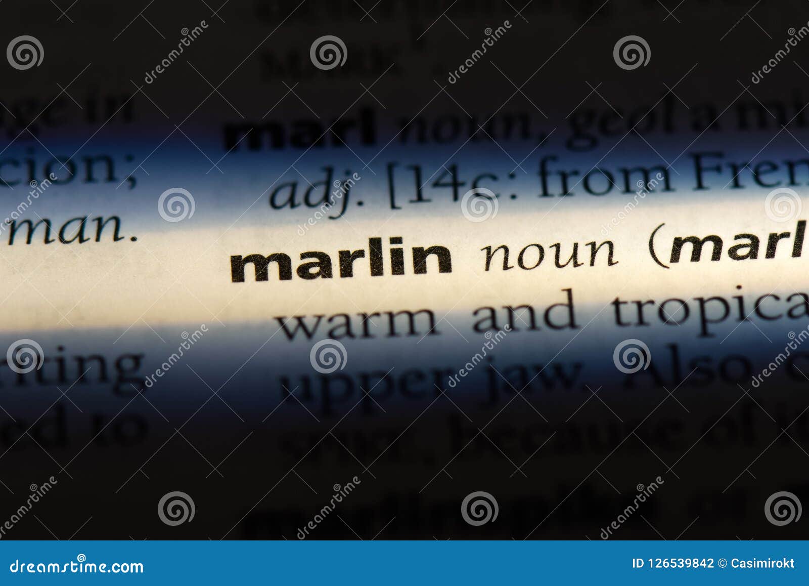 Marlin stock photo. Image of isolated, concept, marlin - 126539842