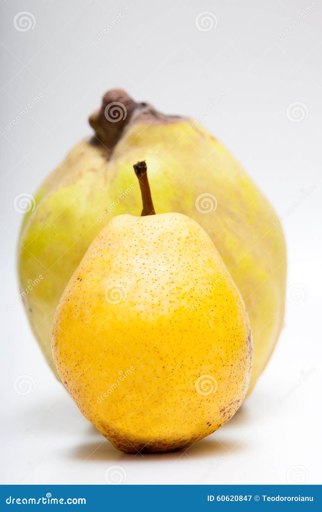 Marmelo e pera imagem de stock. Imagem de orgânico, tarte - 60620847