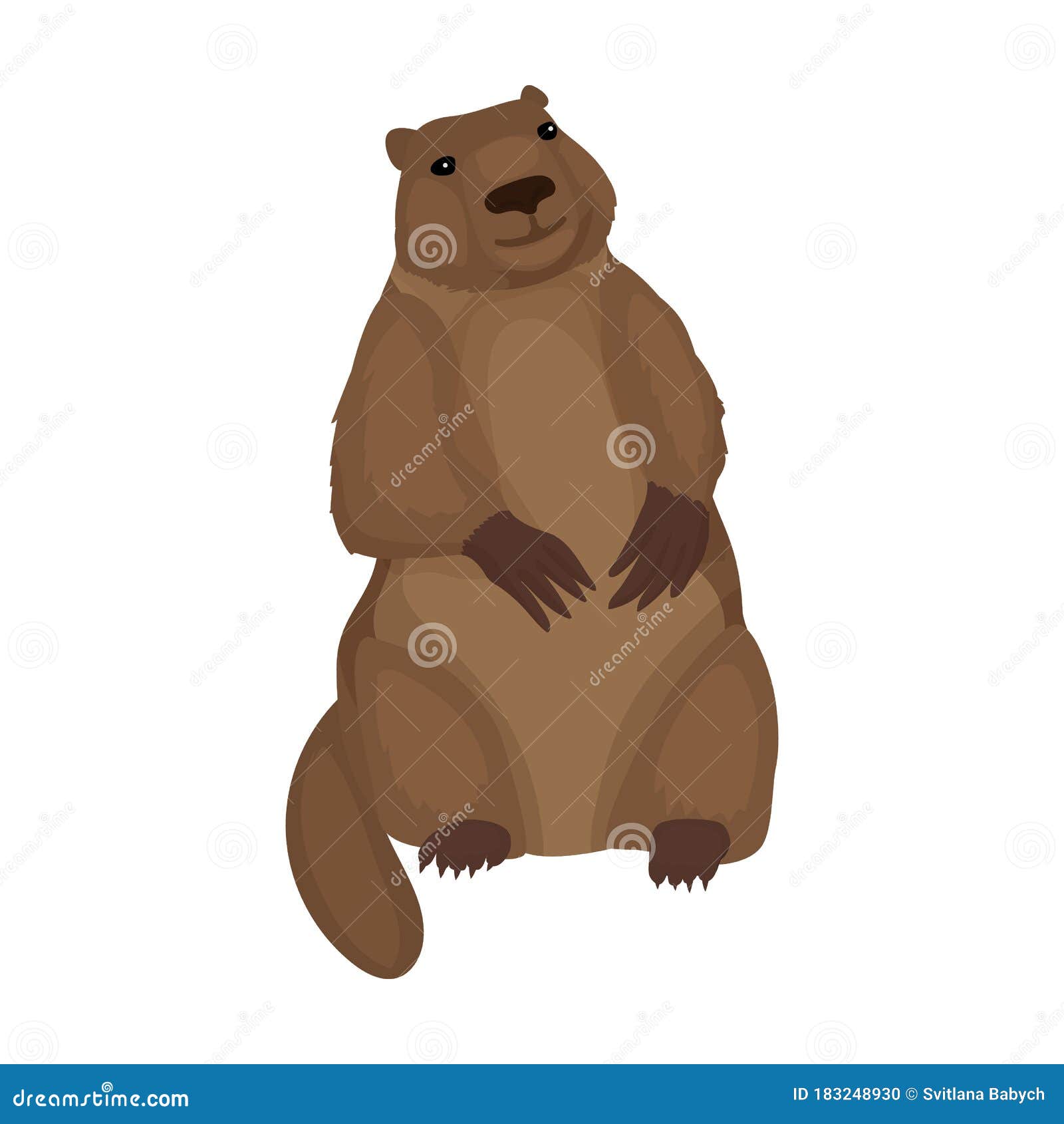 Marmot Vector Icon.Cartoon Vector Icon Isolated on White Background ...