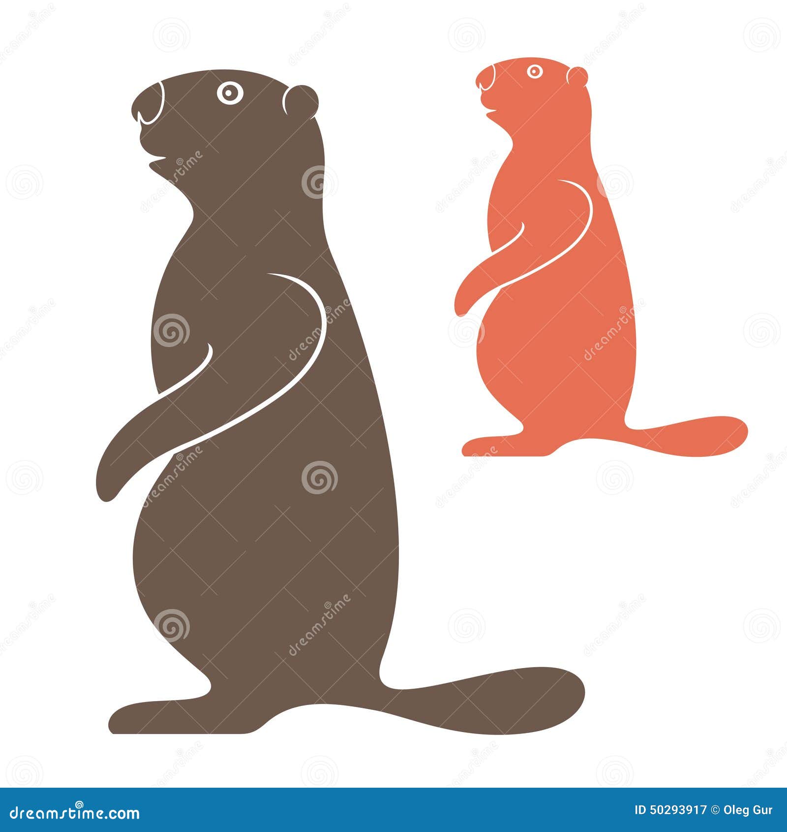 Marmot stock vector. Illustration of mammal, food, gopher - 50293917