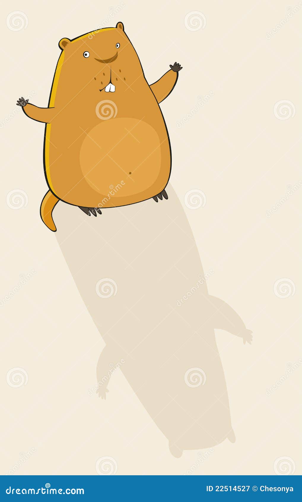 Marmotta illustrazione vettoriale. Illustrazione di sorriso - 22514527