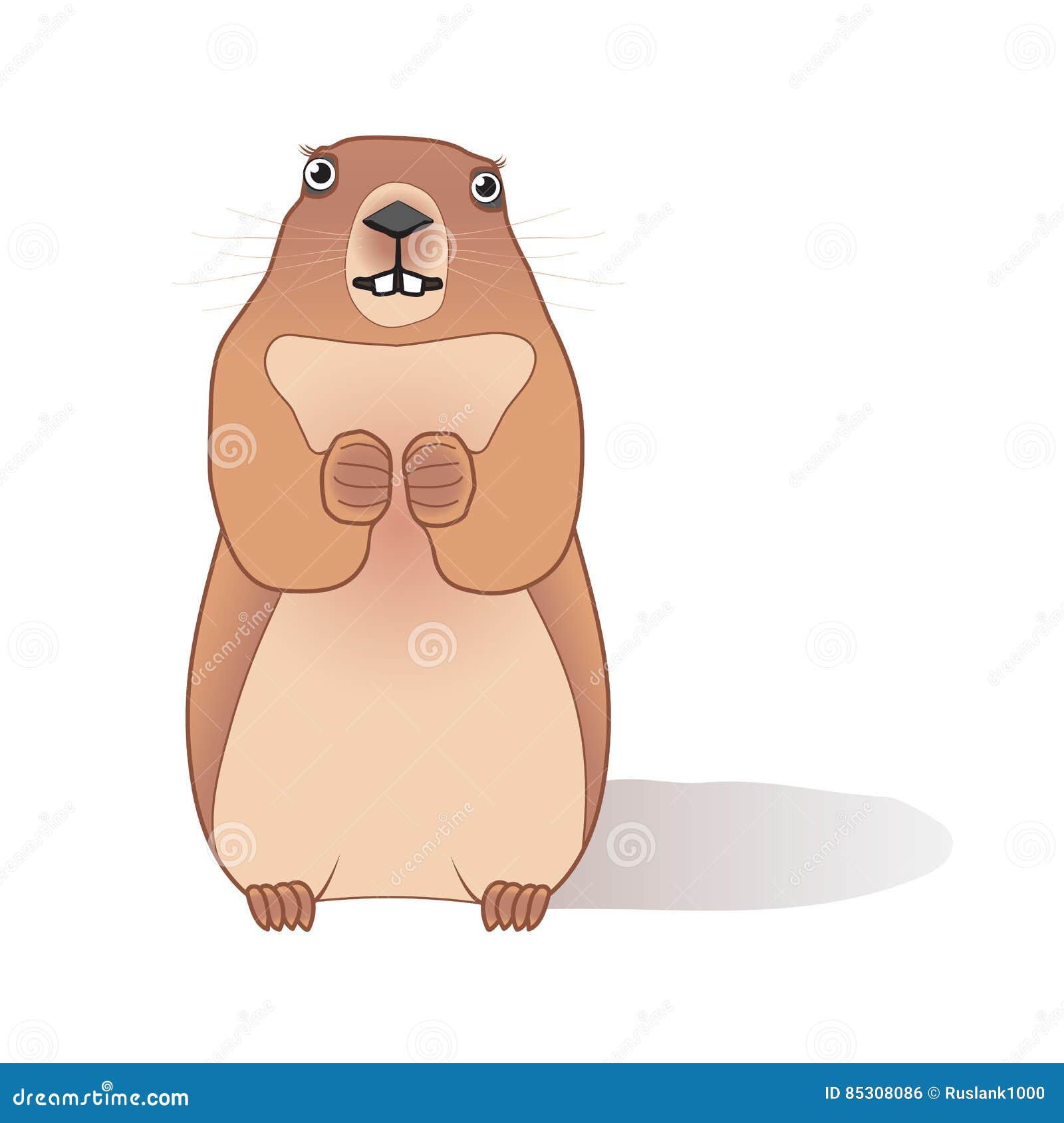 Marmotta Colorata Con Ombra Su Bianco Illustrazione Vettoriale ...