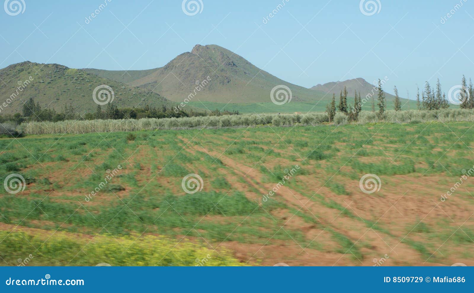 Maroco en verano imagen de archivo. Imagen de hierba, azul - 8509729