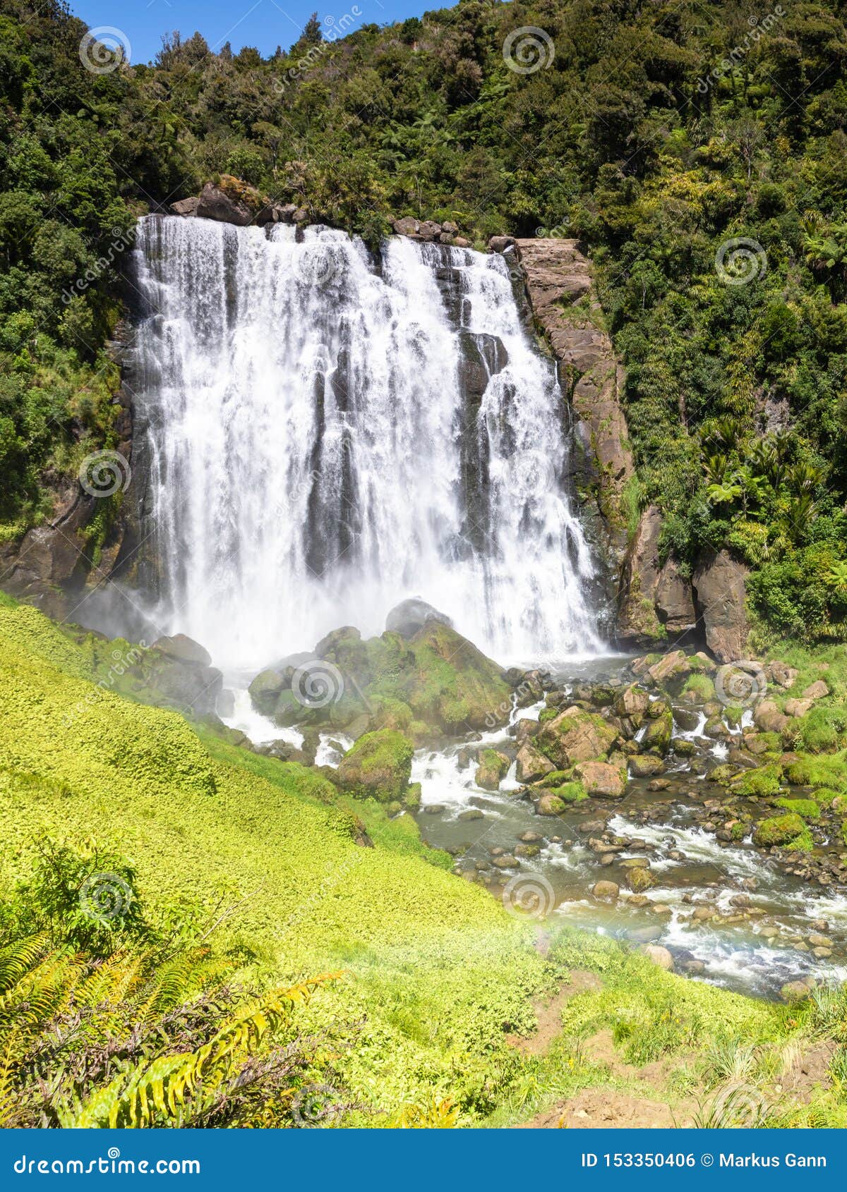 Marokopa falls stock photo. Image of island, region - 153350406