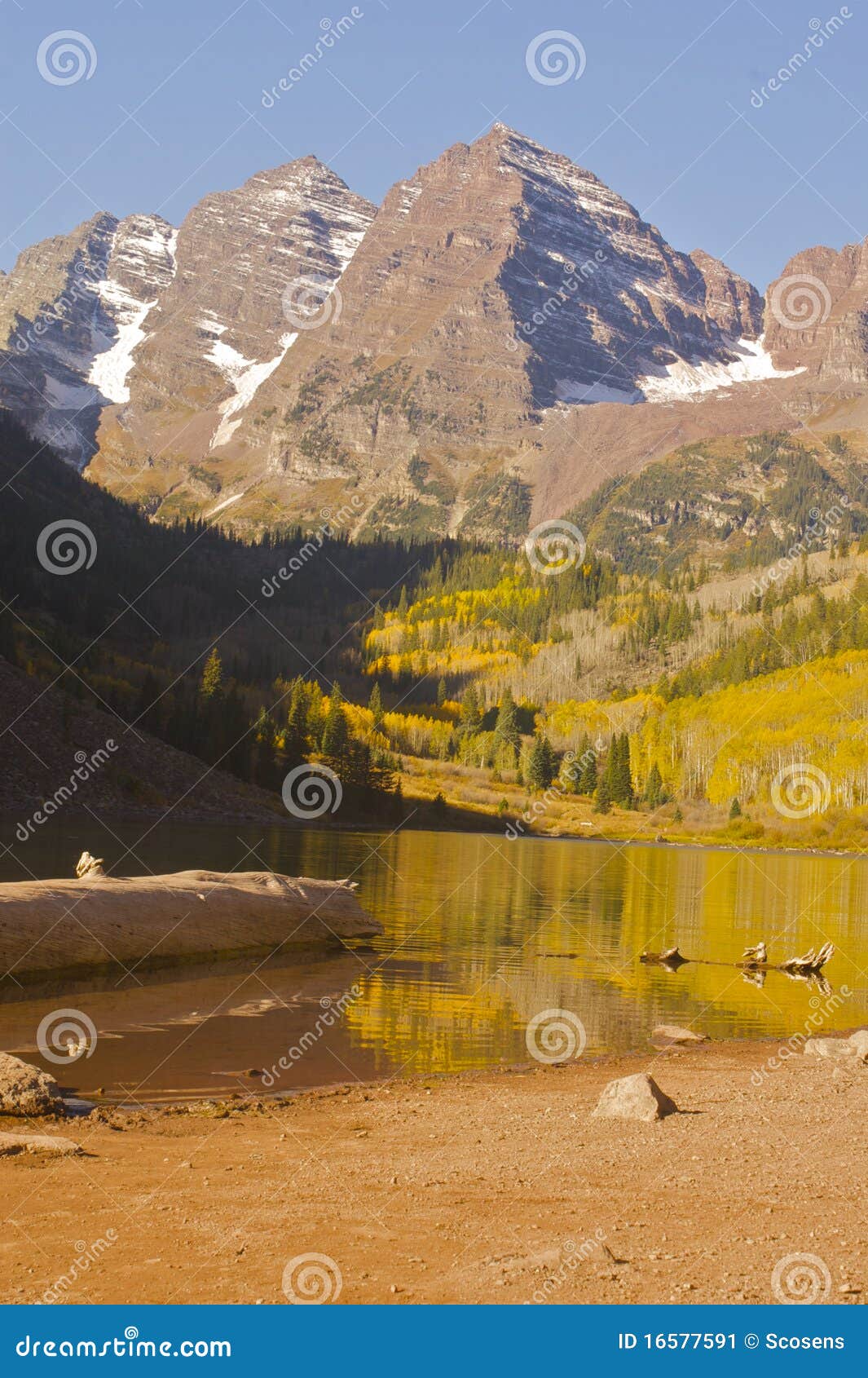 Maroon Bells in Fall stock image. Image of aspen, water - 16577591
