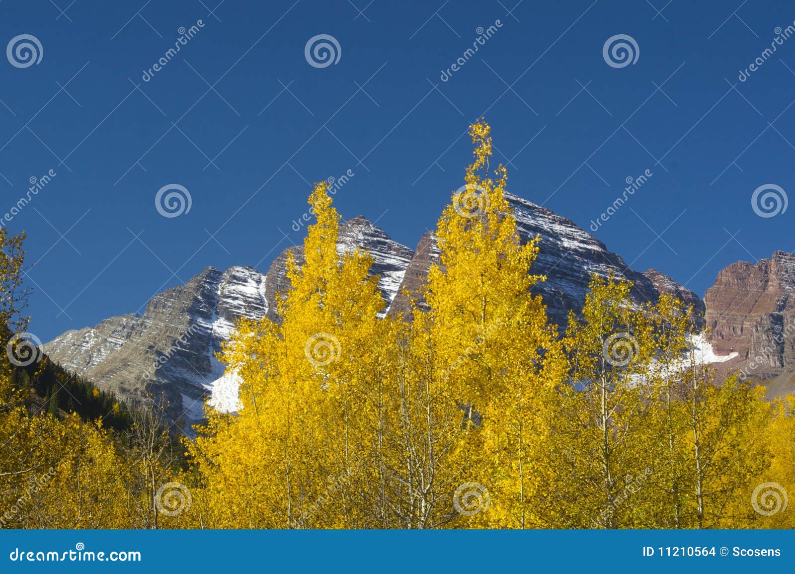 Maroon Bells fall foliage stock photo. Image of mountains - 11210564