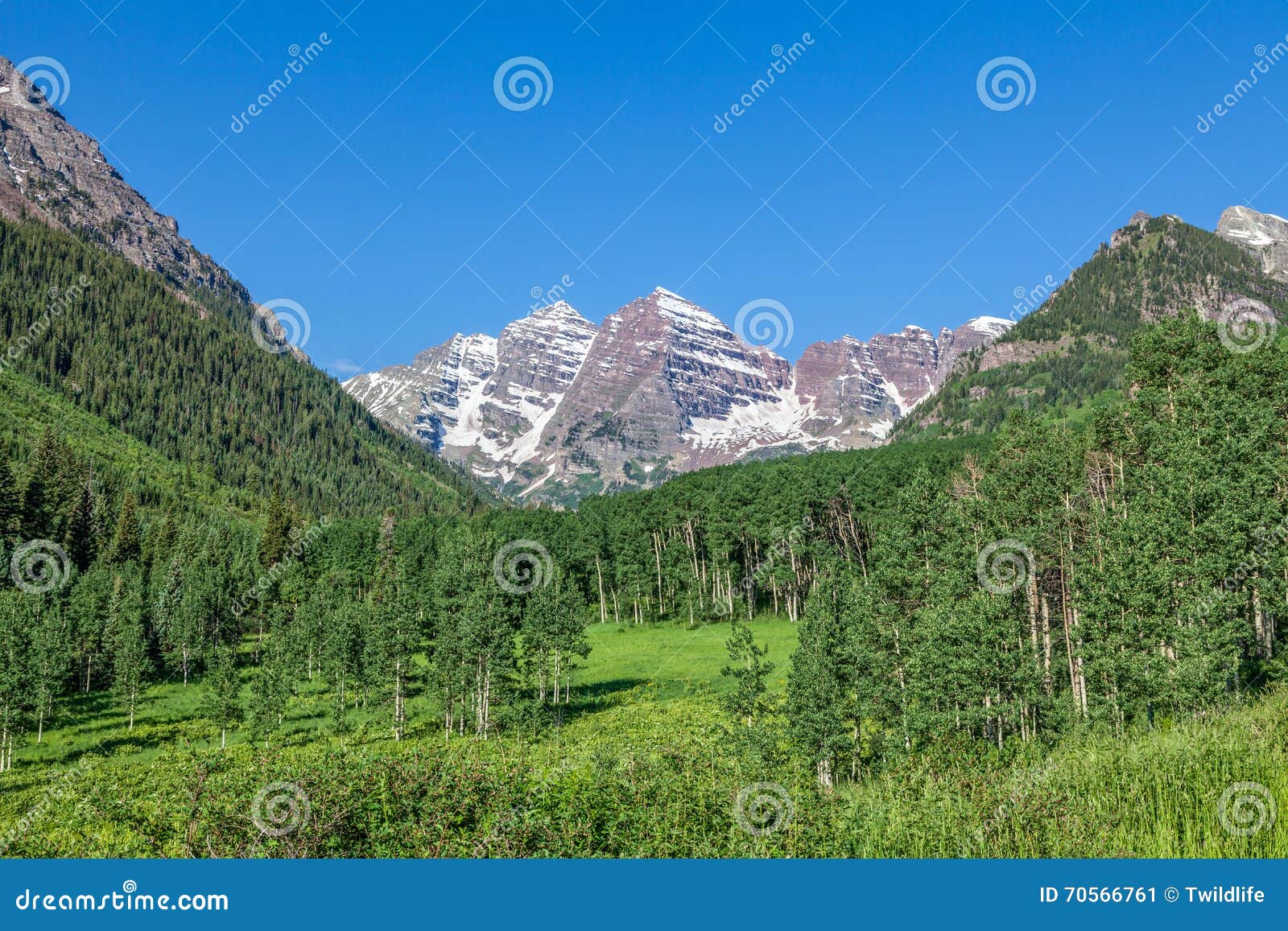 Maroon Bells in Summer stock image. Image of aspens, summer - 70566761